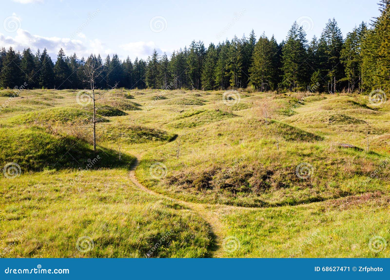 Mima Mounds Natural Area Preserve Stock Image - Image of geological ...