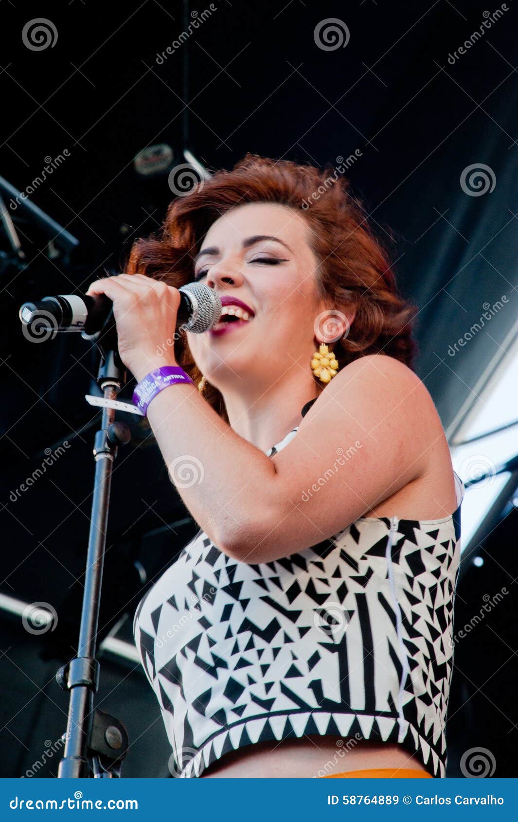 Mimi Cat imagen de archivo editorial. Imagen de vendas - 58764889