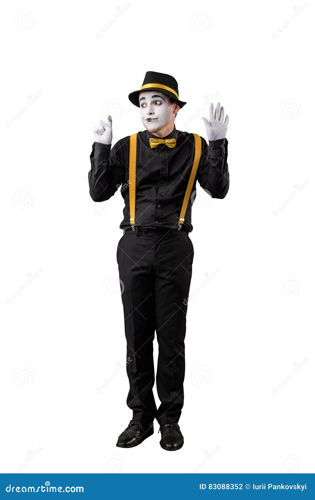 Mimo Isolato Su Fondo Bianco Fotografia Stock - Immagine di ...