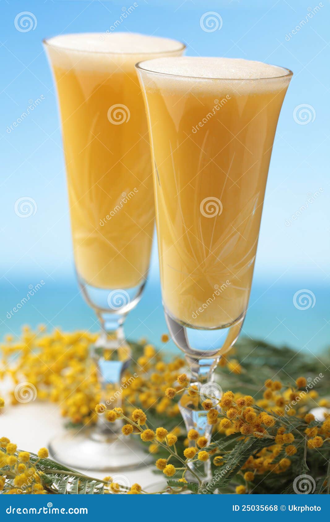 Mimosa cocktail stock photo. Image of mimosa, beach, vertical - 25035668