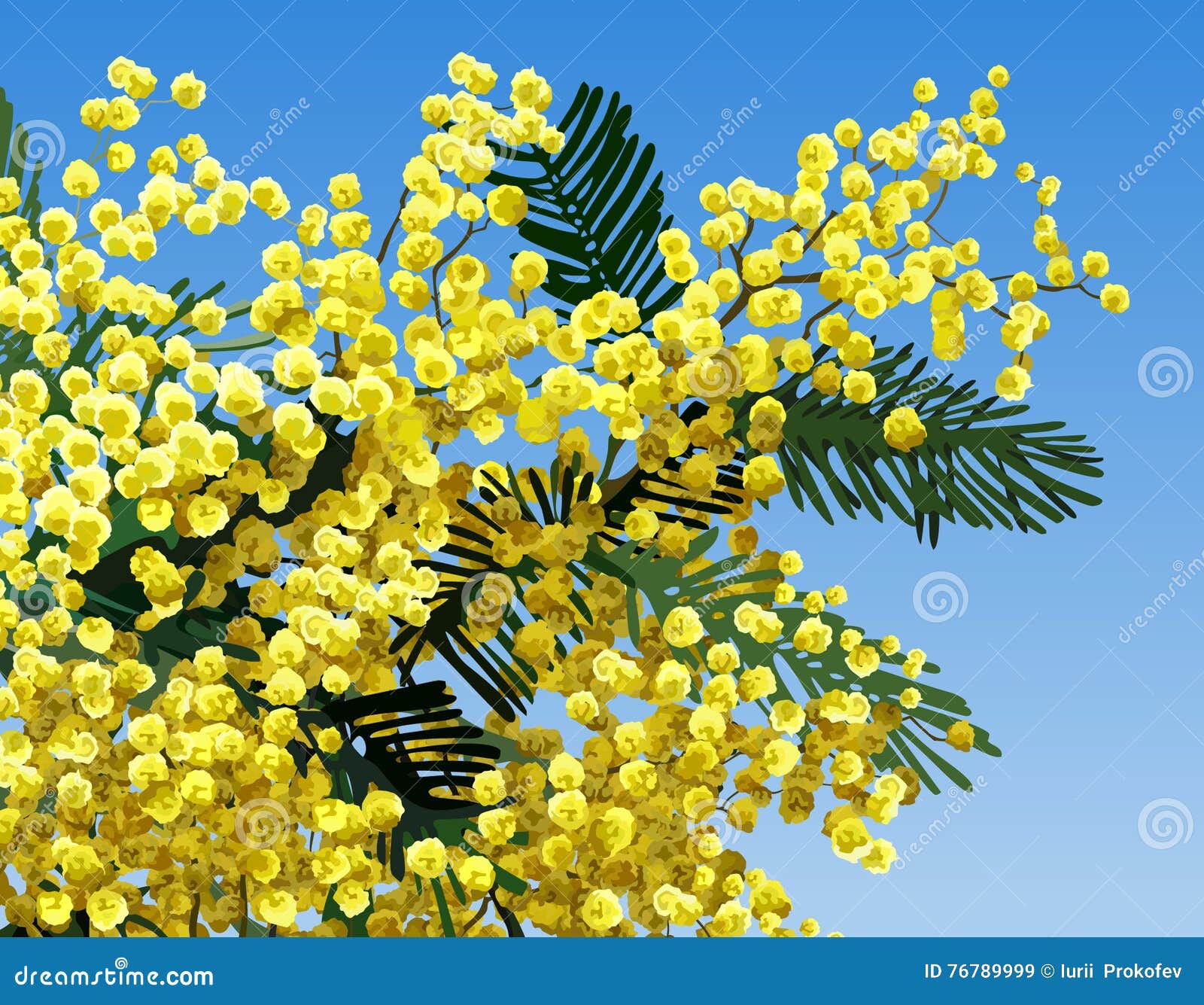 Mimosa Flower Cartoon Vector | CartoonDealer.com #76789999