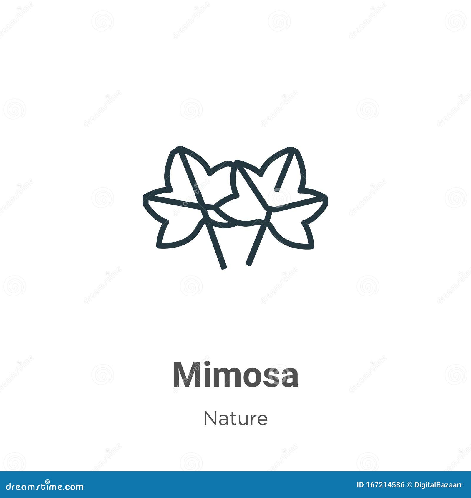 Mimosa Outline Vector Icon. Thin Line Black Mimosa Icon, Flat Vector ...