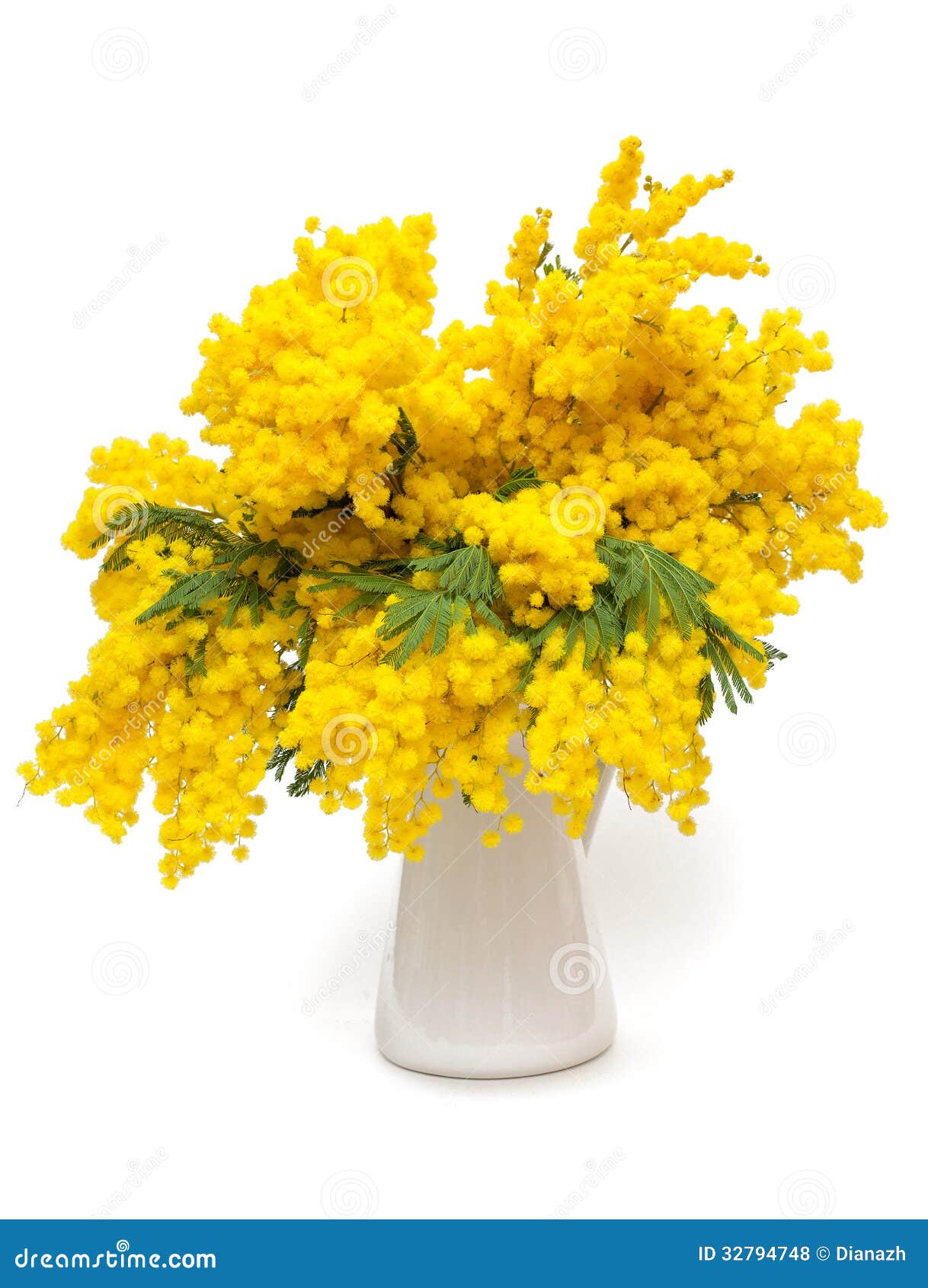 Mimoza kwiaty zdjęcie stock. Obraz złożonej z sezon, greenbacks - 32794748