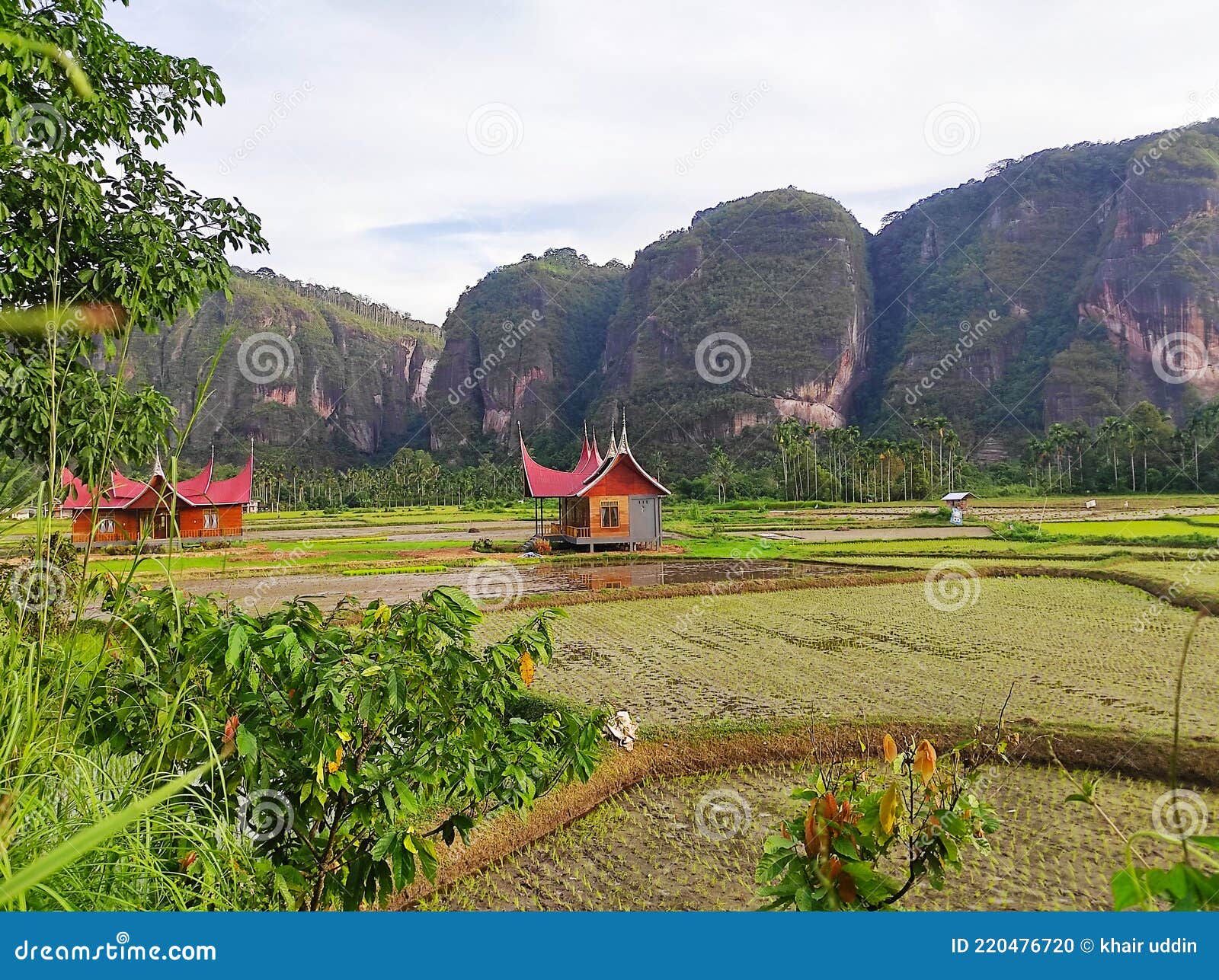 Minangkabau Traditional House Stock Photo - Image of fields ...