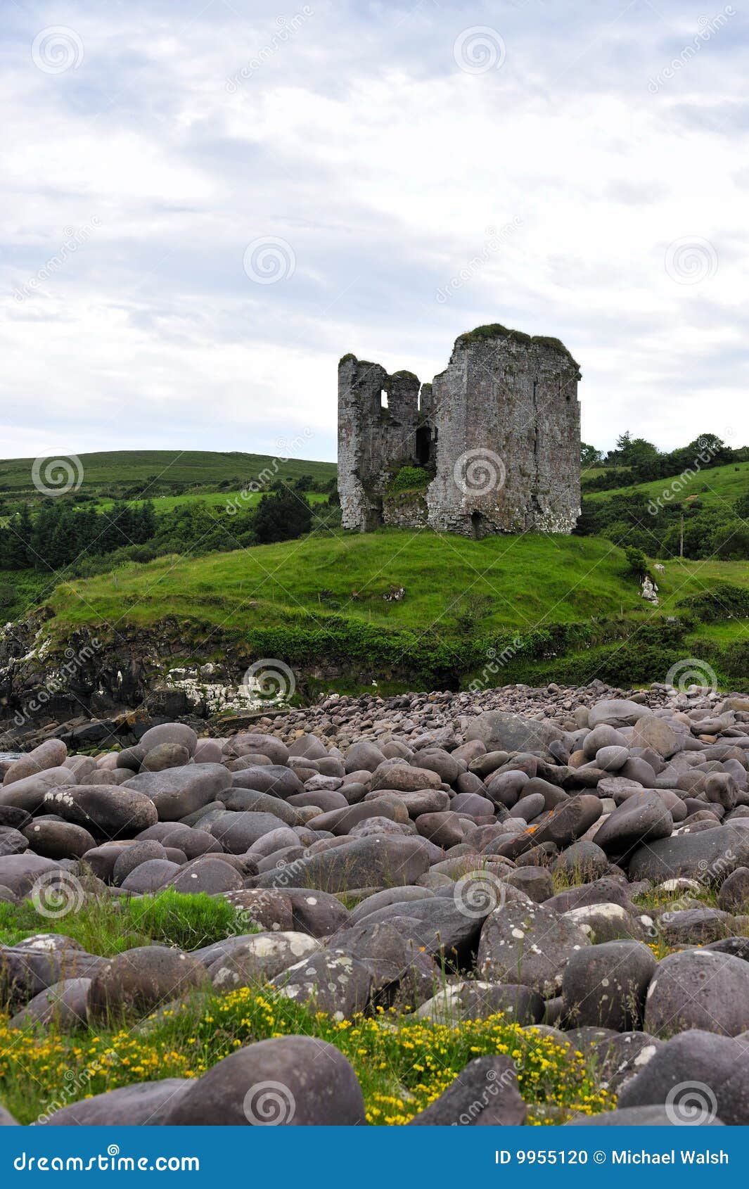 Minard Castle stock photo. Image of hill, ruin, history - 9955120
