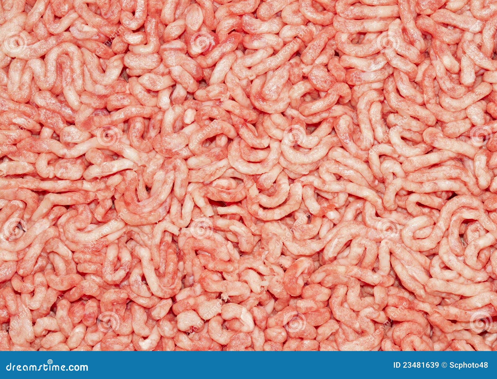 Minced beef stock image. Image of minced, texture, cooking - 23481639