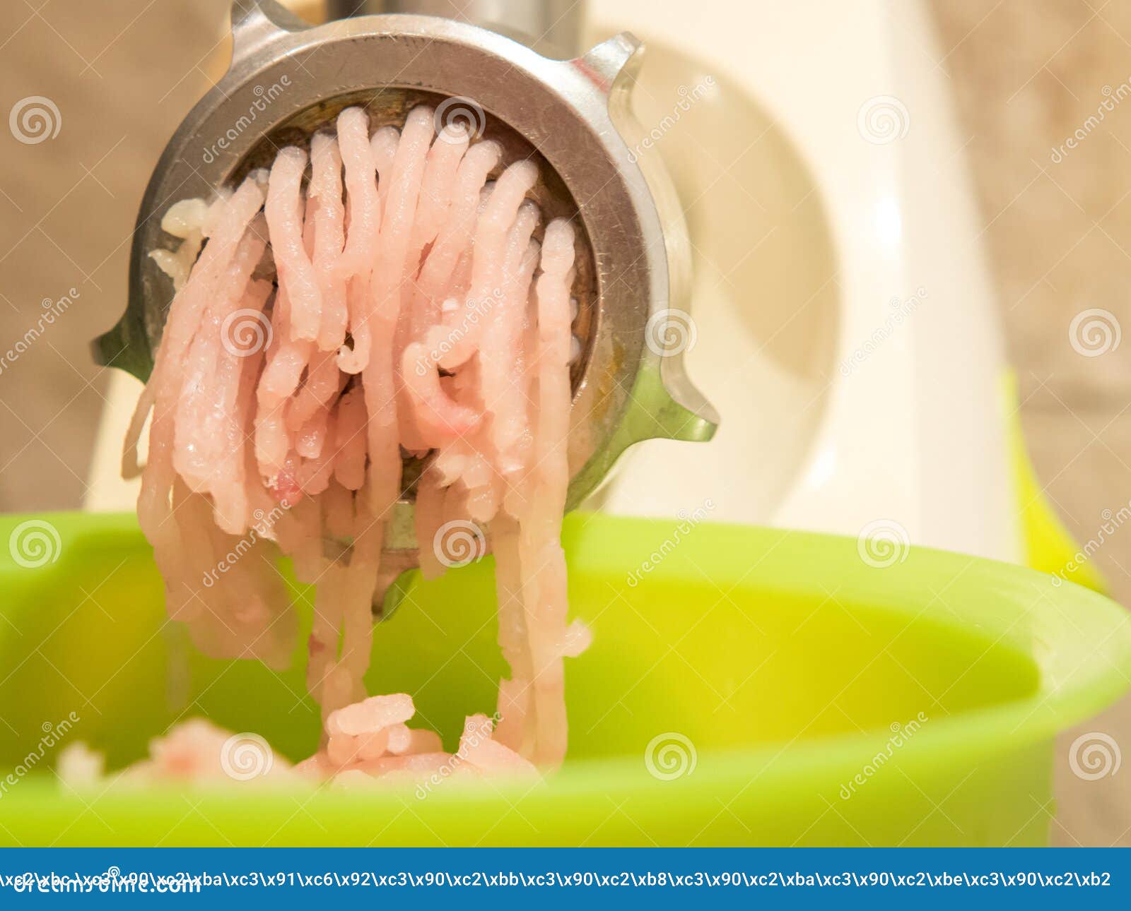 Minced fish stock image. Image of chef, meat, mincer - 235901575