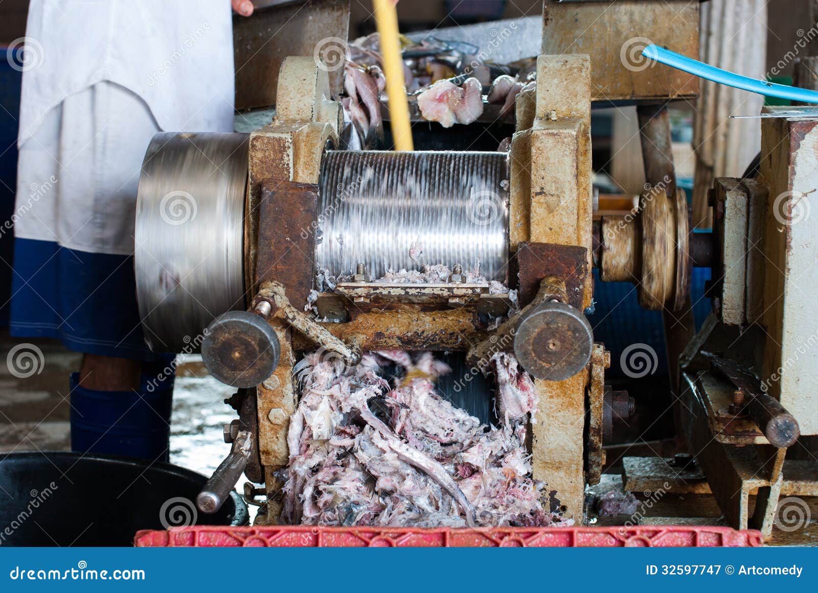 Minced fish stock image. Image of minced, cutting, machine - 32597747