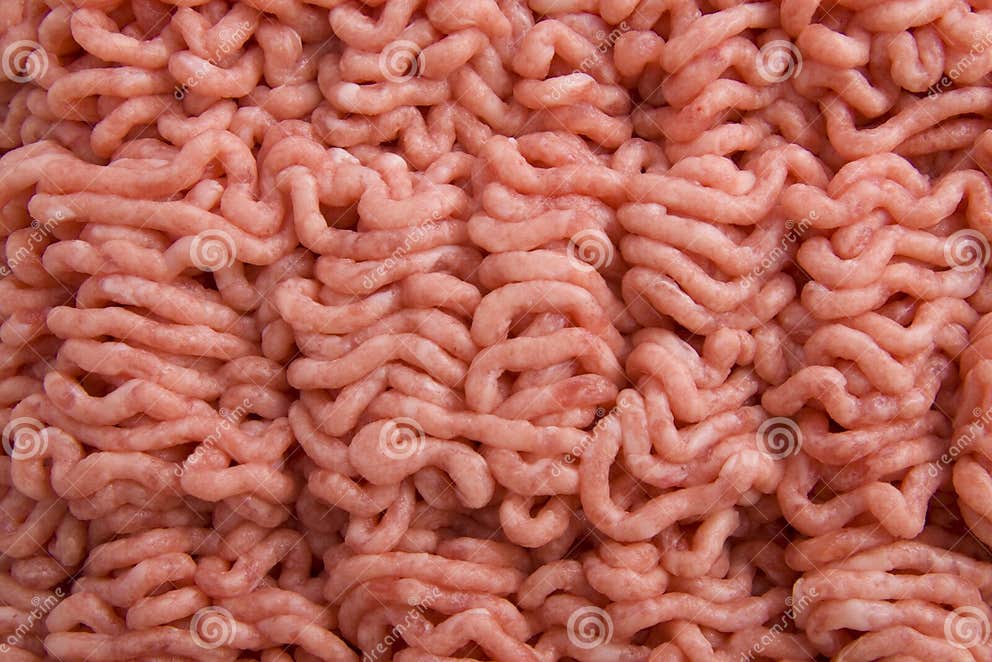 Minced meat stock image. Image of brains, dinner, grill - 13203633