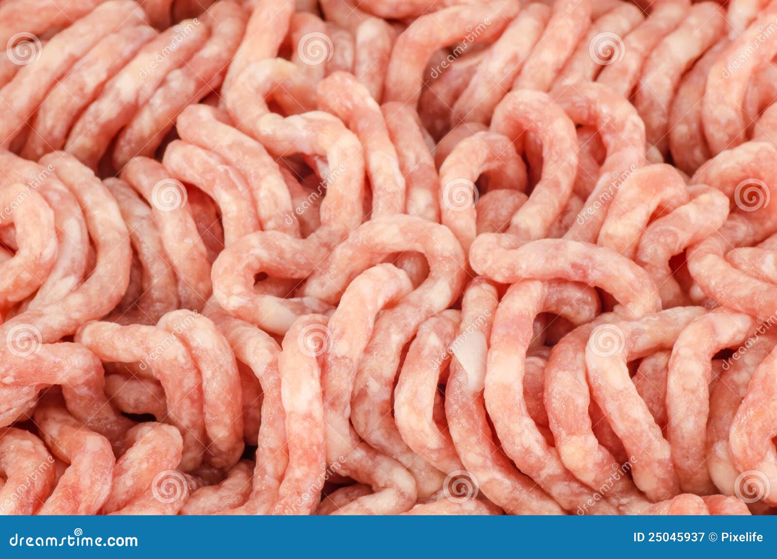 Minced meat stock image. Image of beef, blood, pork, animal - 25045937
