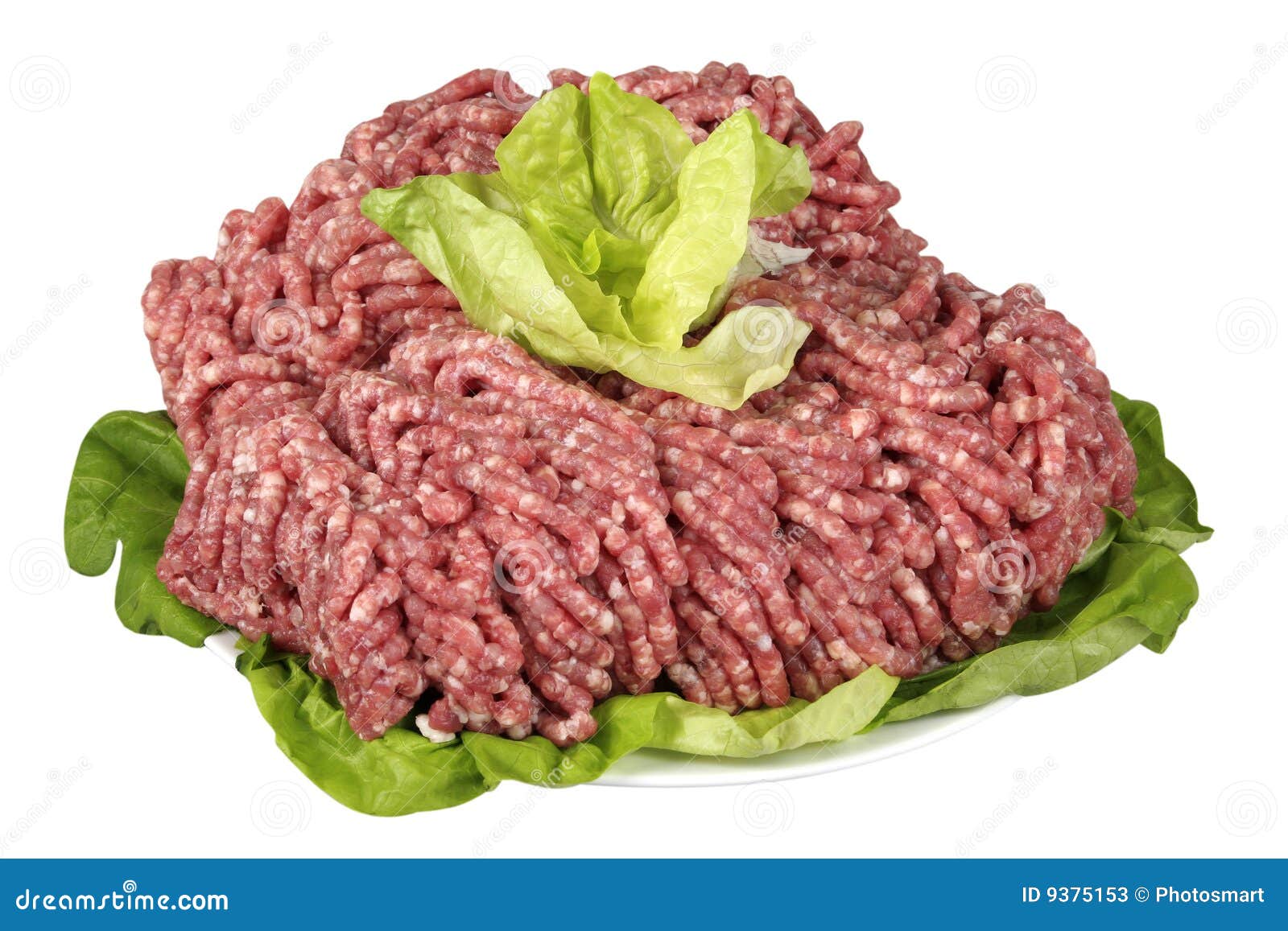 Minced Meat Royalty-Free Stock Photo | CartoonDealer.com #9375153