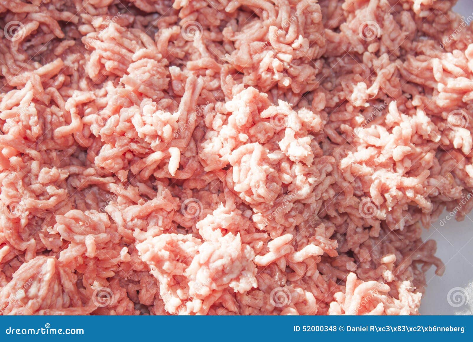 Minced meat stock photo. Image of mincemeat, minced, mince - 52000348