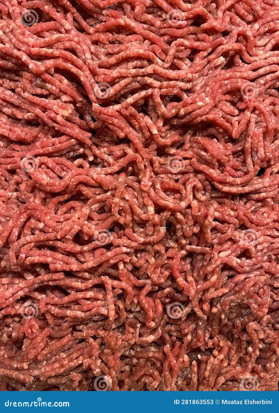 Minced Red Beef Meet stock image. Image of dinner, dish - 281863553