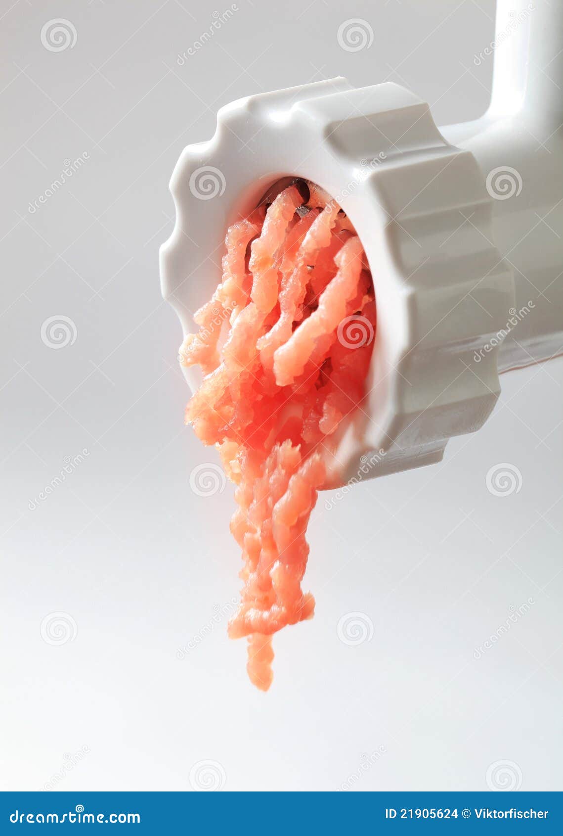 Mincing meat stock photo. Image of meat, fresh, white - 21905624