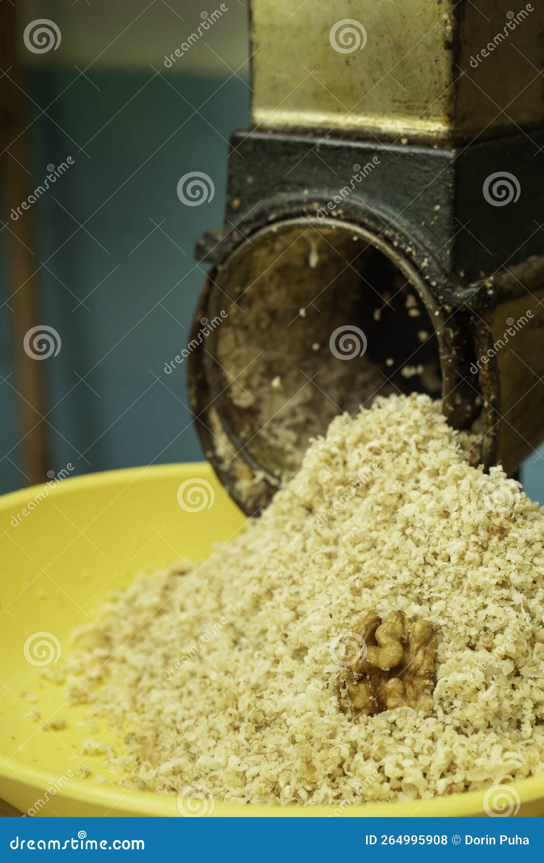 Mincing Walnuts with a Vintage Grinder, Manual Machine Stock Photo ...