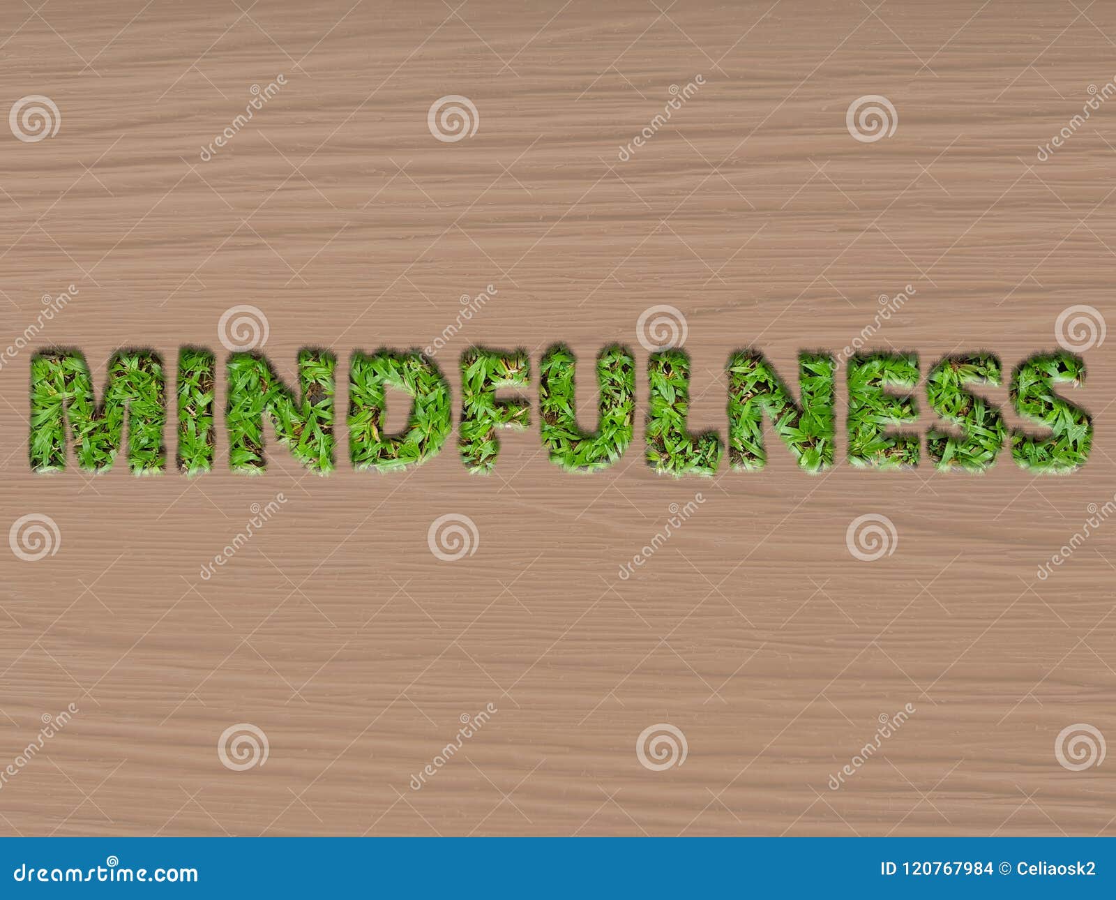 Mindfulness Concept Using Grass Text Effect Stock Photo - Image of ...