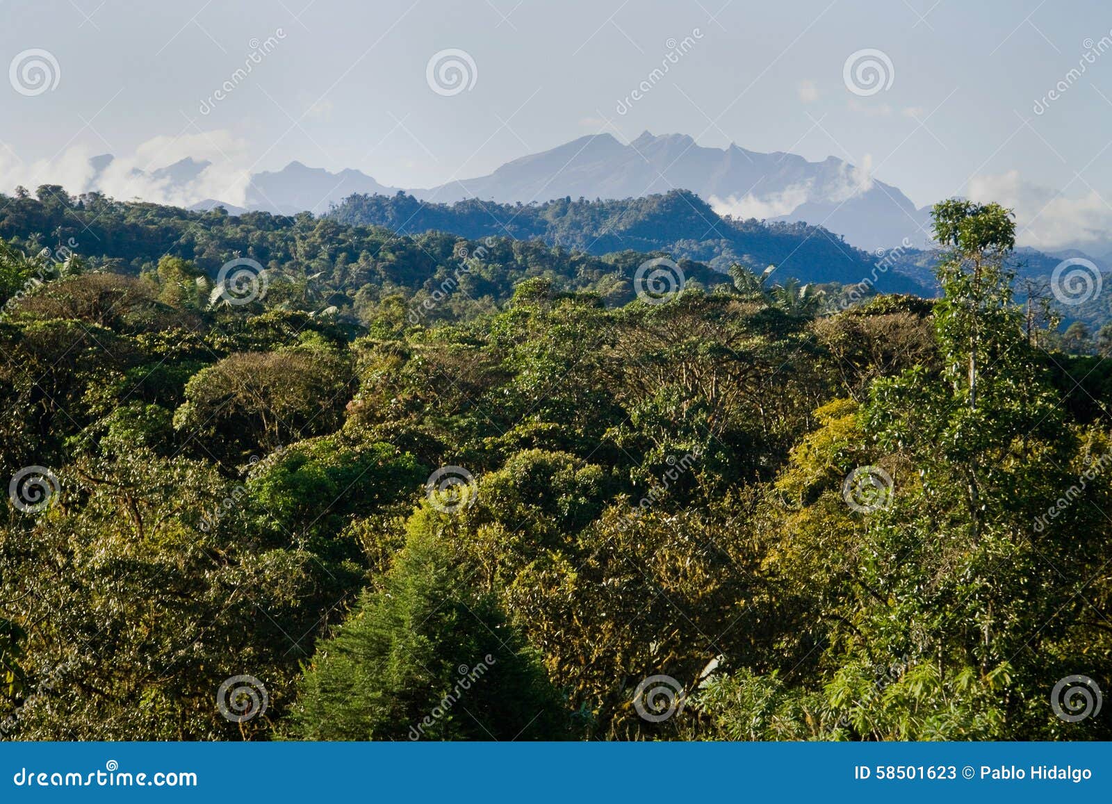 Mindo, Ecuador Cloud Forest Stock Image - Image of cloudy, mountainous ...