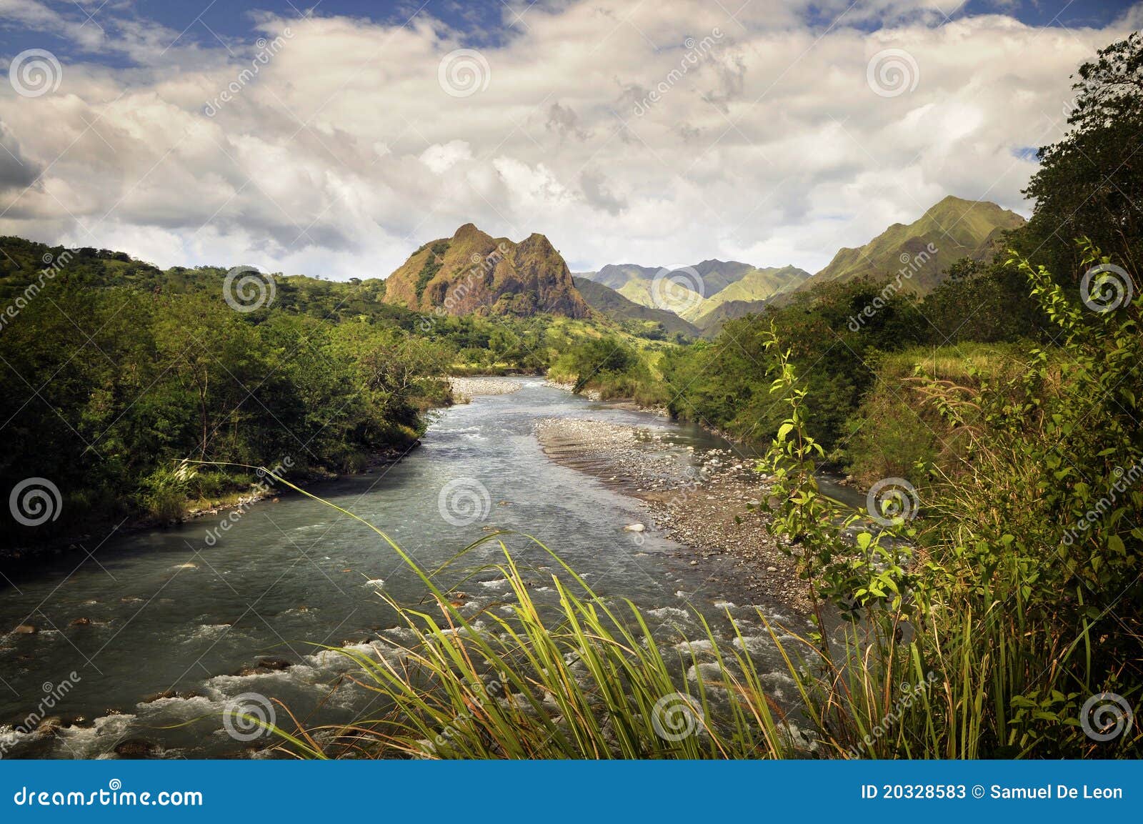 Mindoro Nature stock image. Image of samuel, vegetation - 20328583