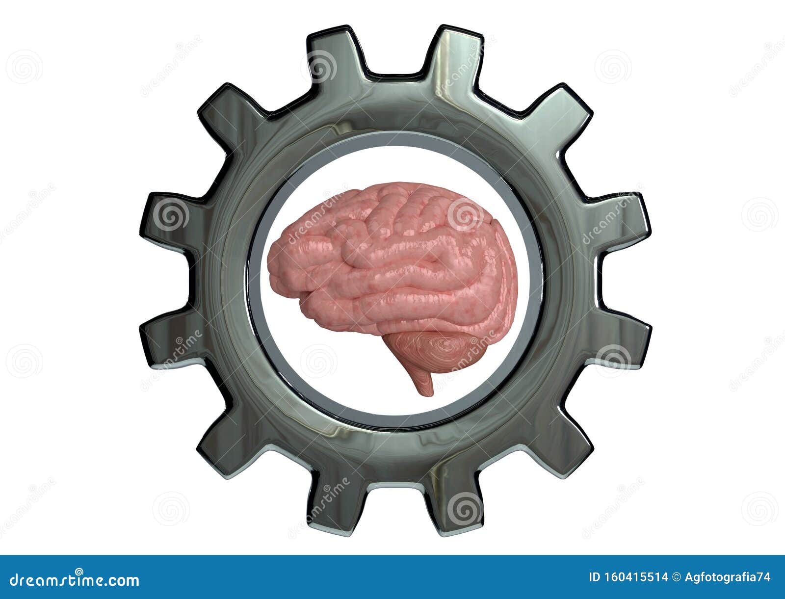 Mindset Training Concept of High Mental Performance, Cognitive and ...