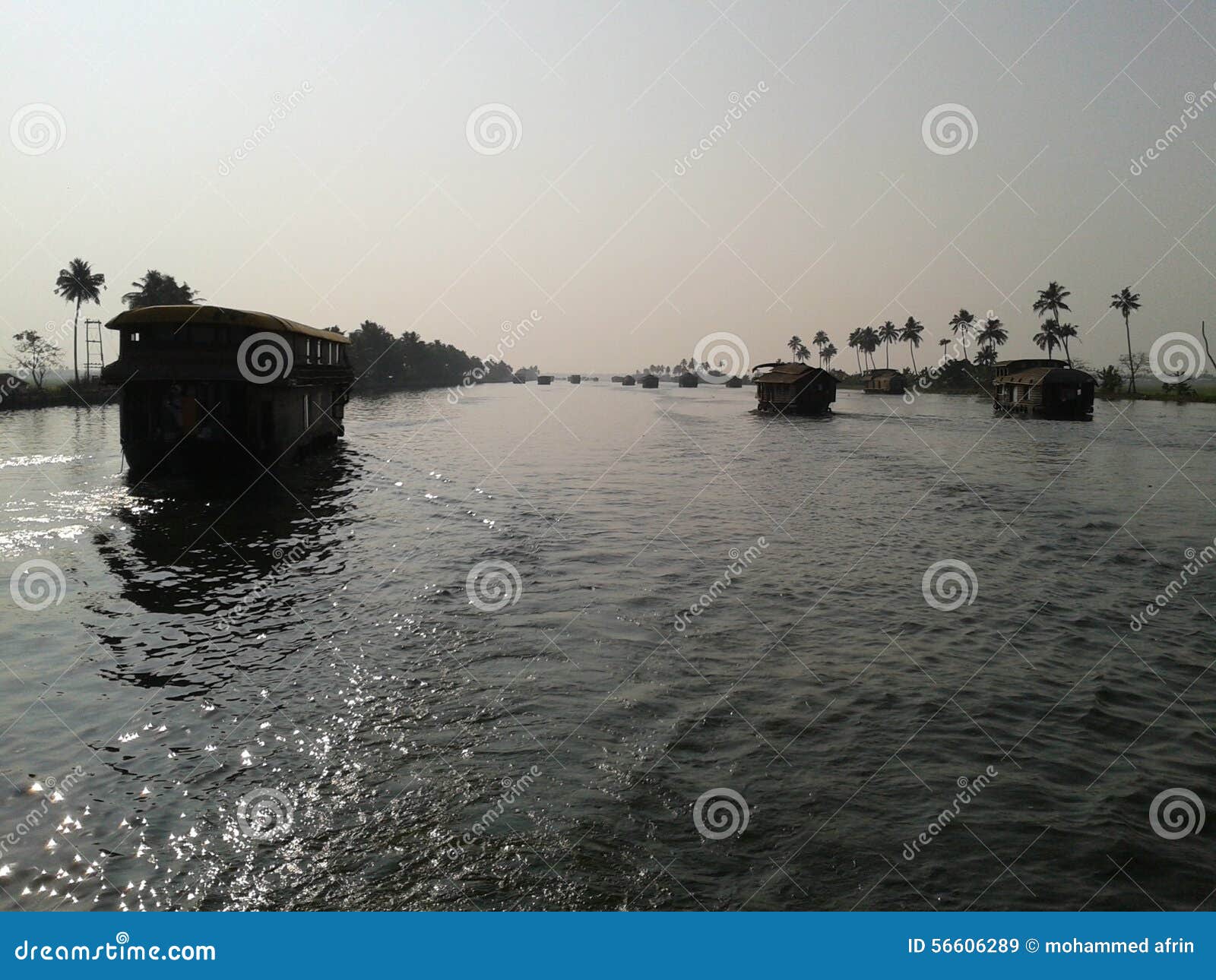 Mine beauty busy stock image. Image of beauty, awesome - 56606289