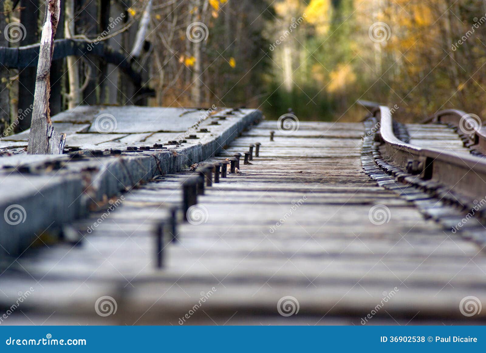 Mine Cart Tracks stock photo. Image of cart, weathered - 36902538