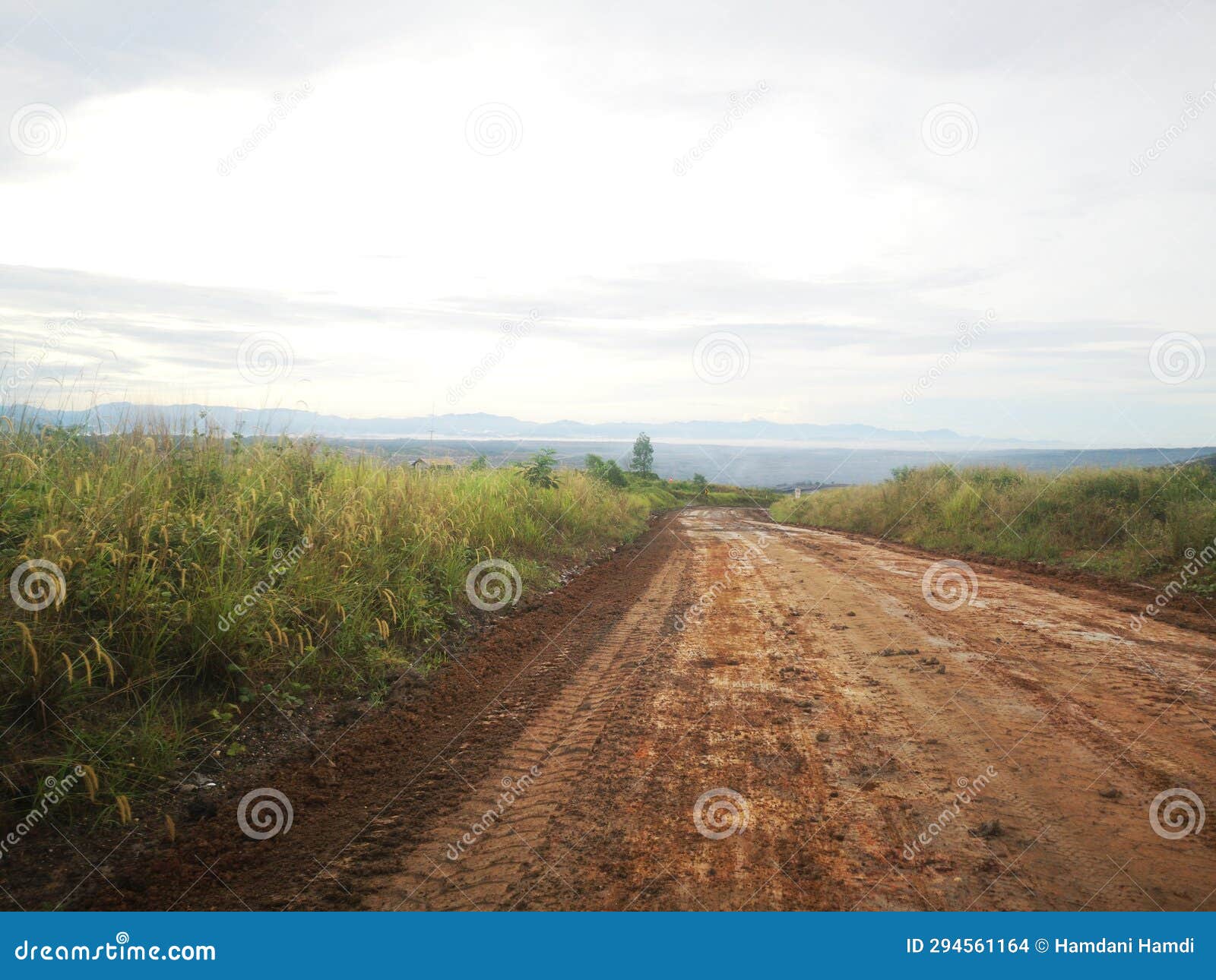 Mine roads stock photo. Image of tree, prairie, soil - 294561164