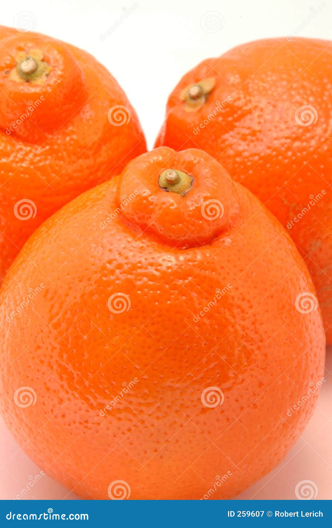 Mineola tangelos three stock image. Image of tart, tangelo - 259607