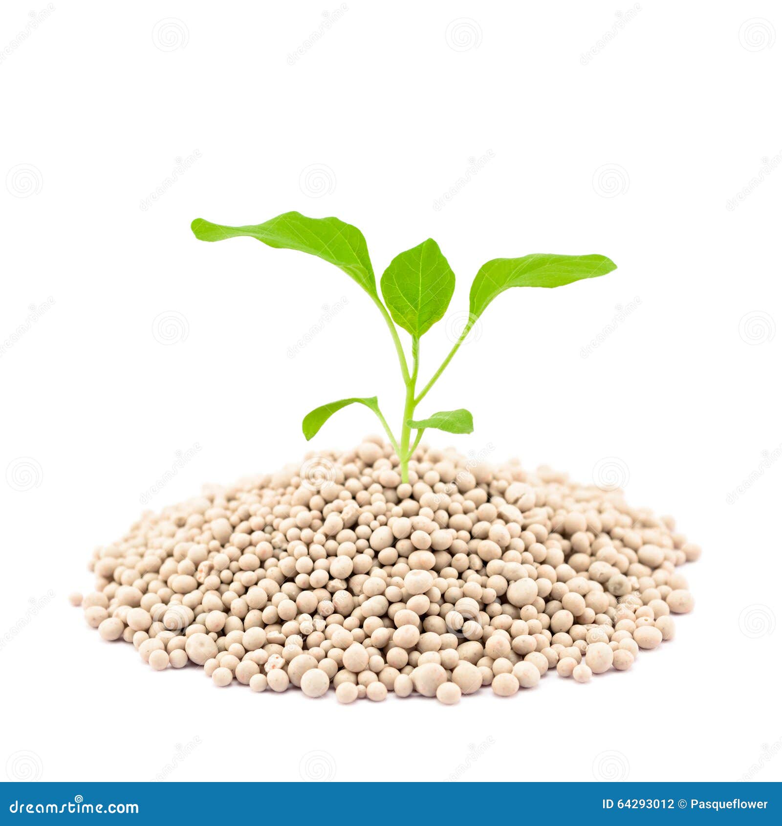 Mineral Fertilizers Isolated on White Stock Photo - Image of garden ...