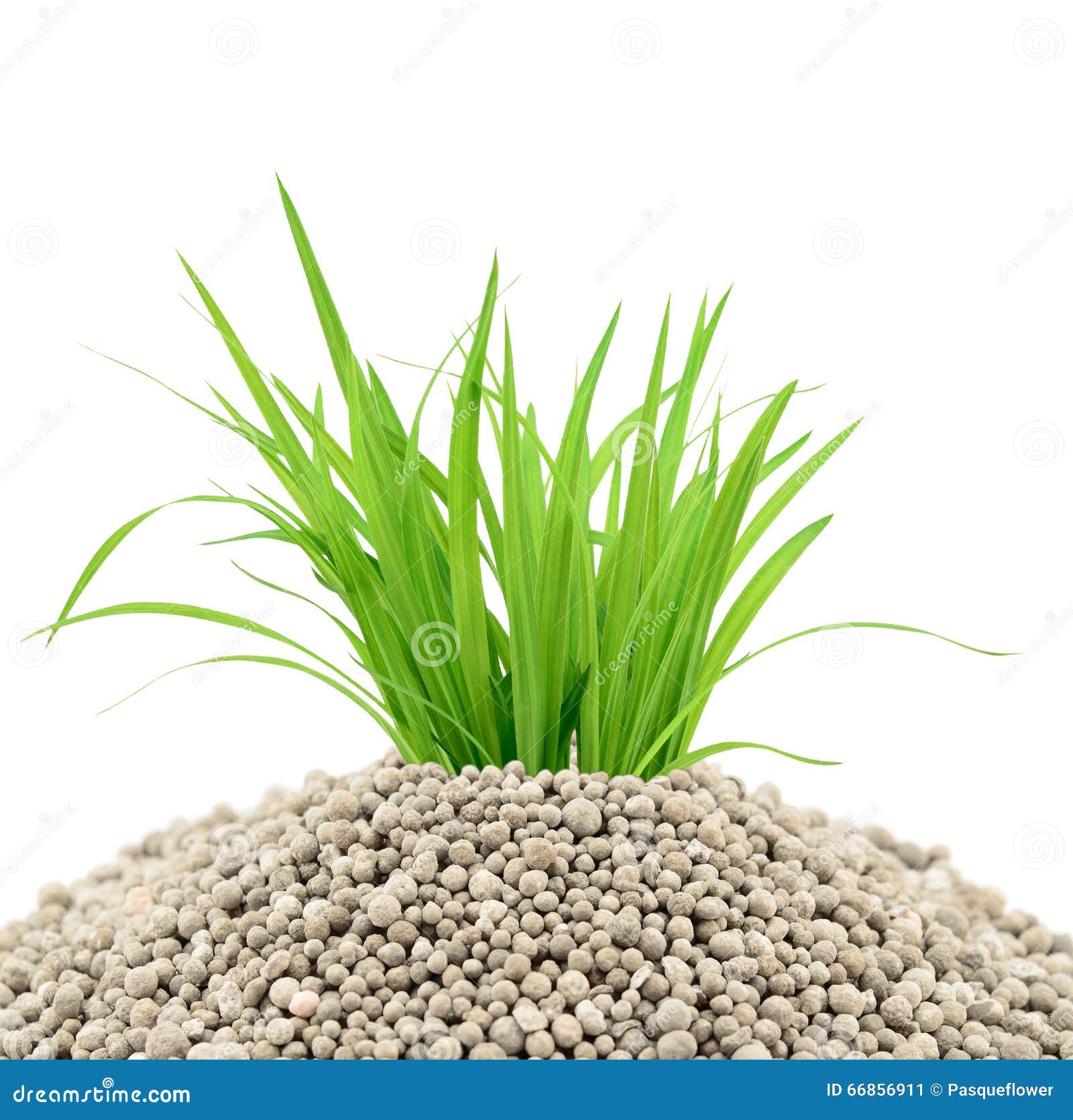 Mineral Fertilizers Isolated on White Stock Image - Image of plant ...