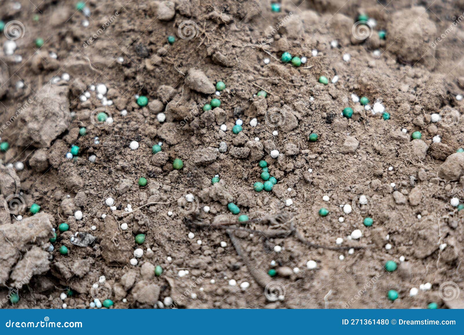Mineral Fertilizers Lie on the Surface of the Soil Stock Photo - Image ...