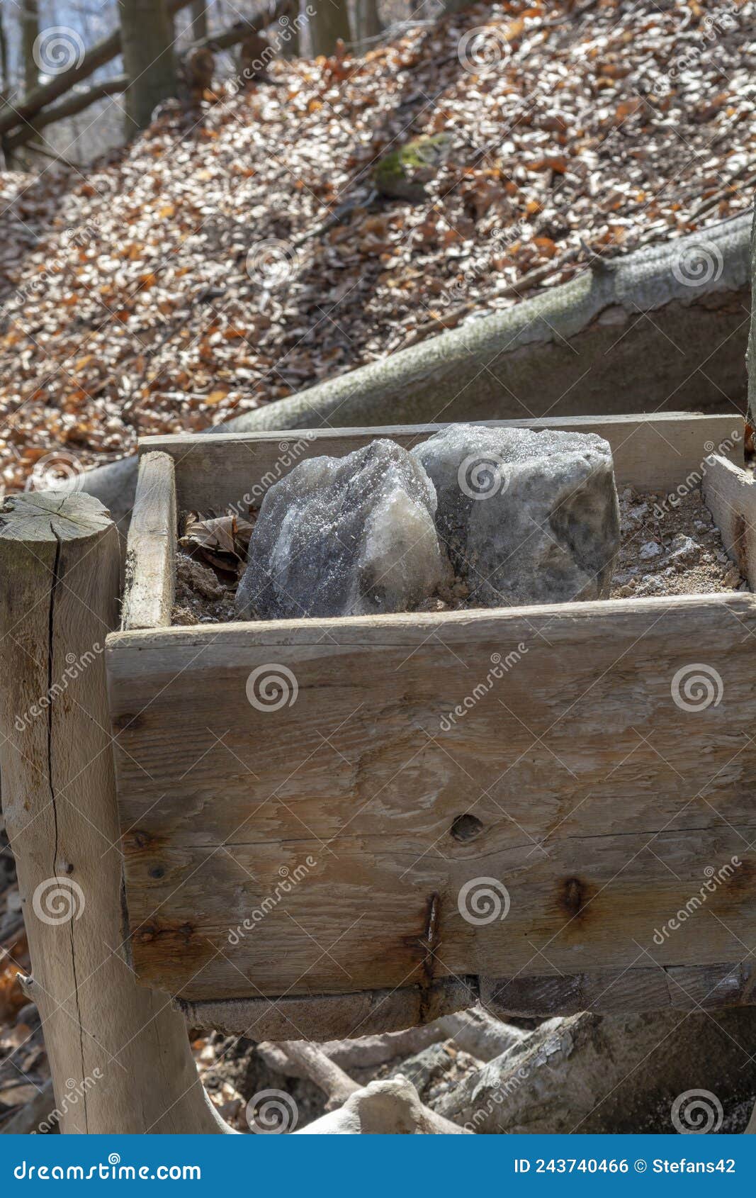 A Mineral Lick in the Forest. Salt Blocks Ready for the Wild Animals ...