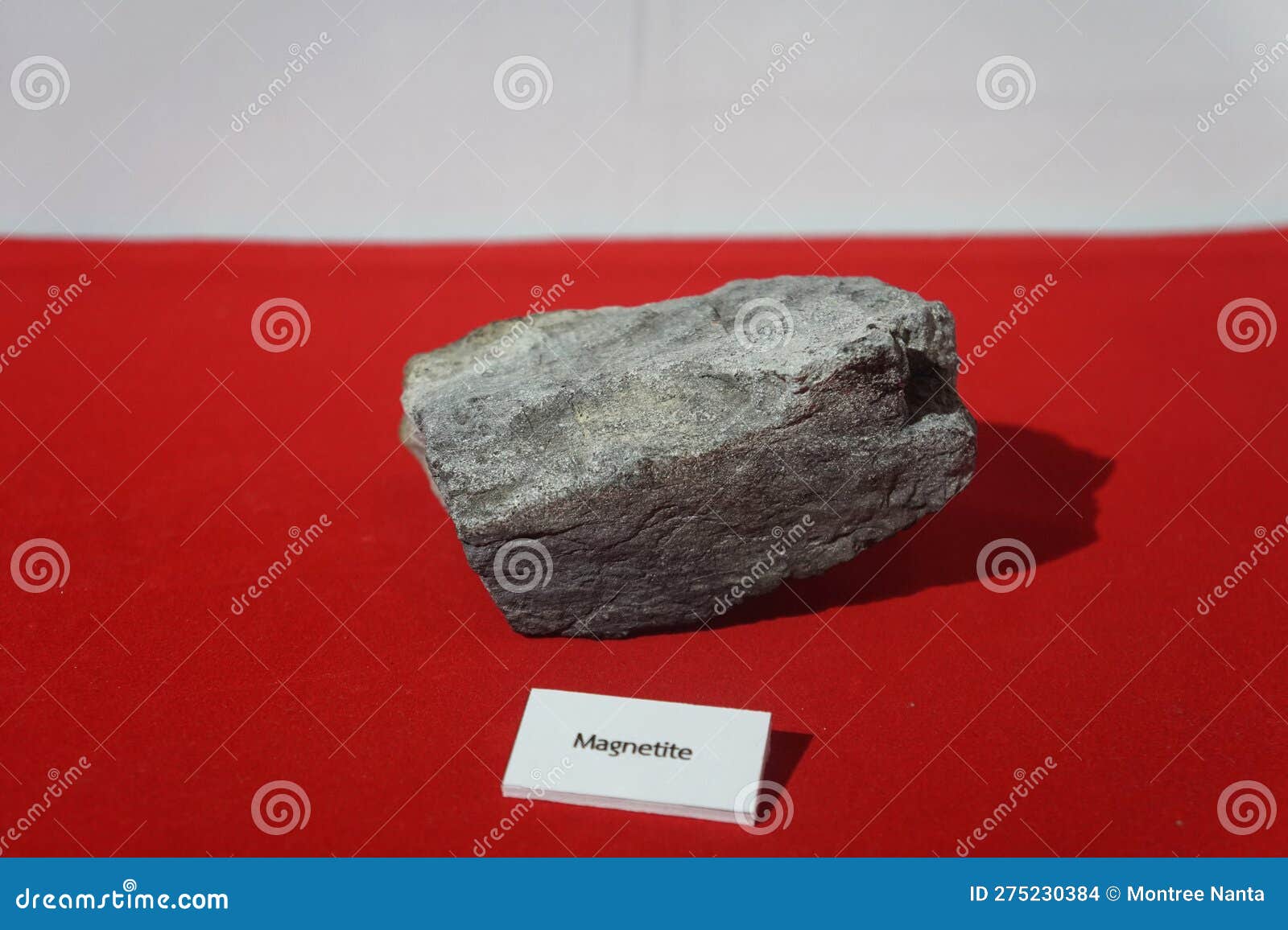 Raw Magnetite Mineral Rock Stone. Strongly Magnetic Iron Ore. Stock ...