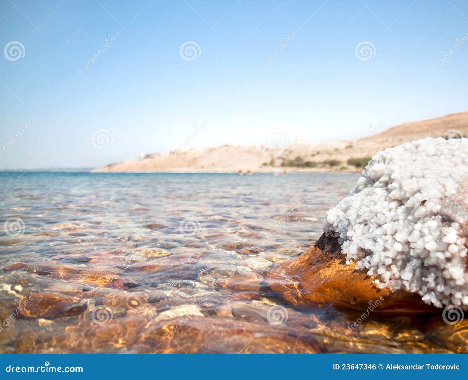 Mineral Salts on Coast of the Dead Sea Stock Photo - Image of ...