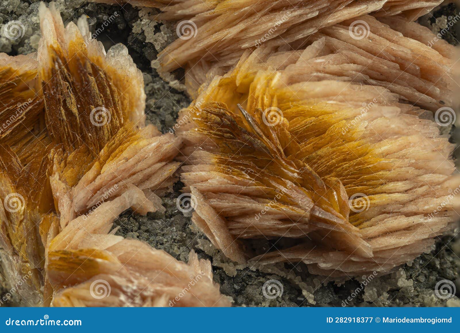 Mineral Specimen of Barite on Matrix Stock Image - Image of rock ...