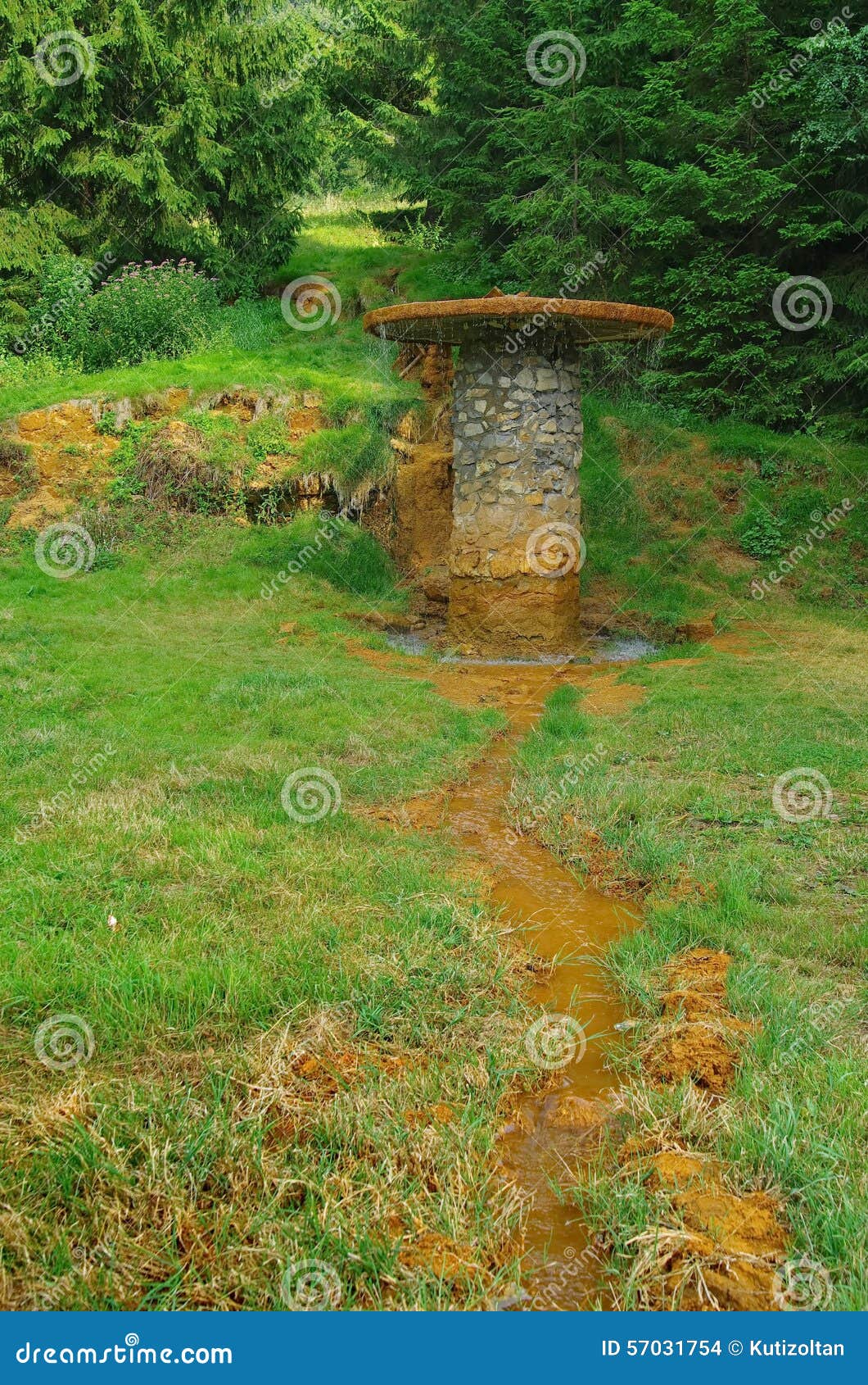 Mineral Spring Water Source 3 Stock Photo - Image of green, forest ...
