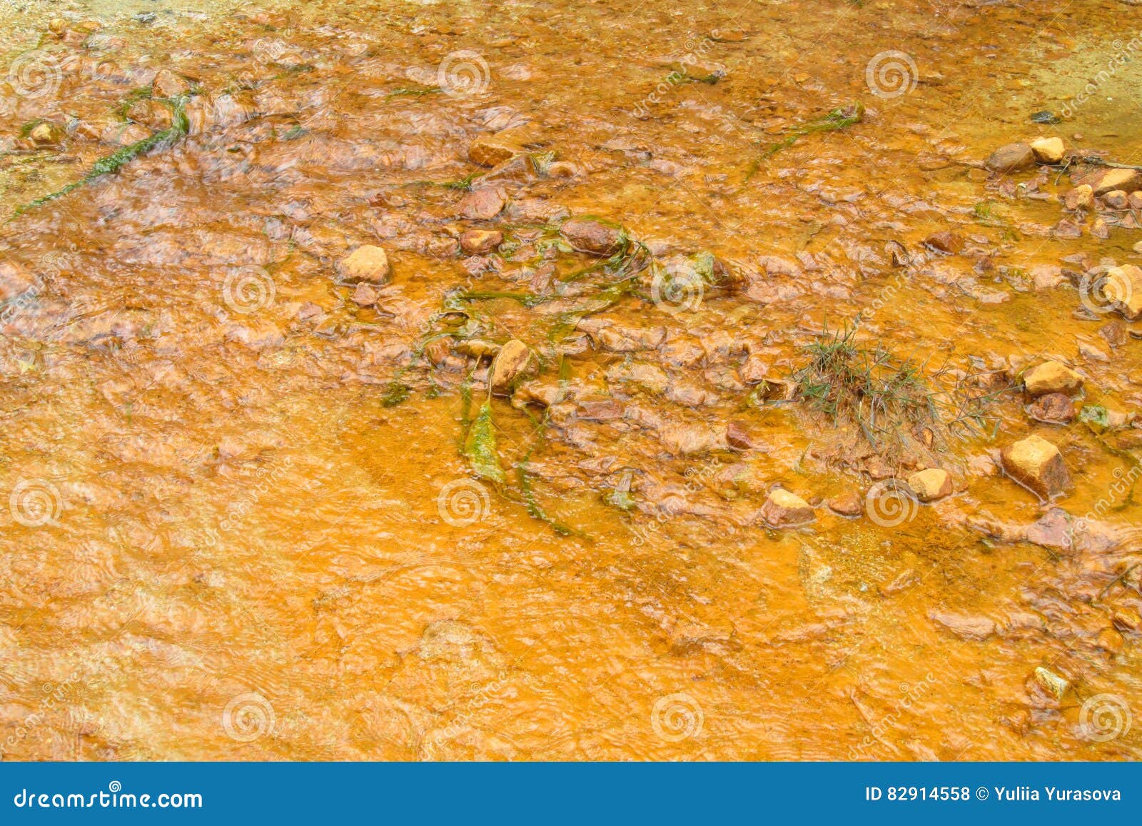 Mineral water source stock photo. Image of nature, holiday - 82914558