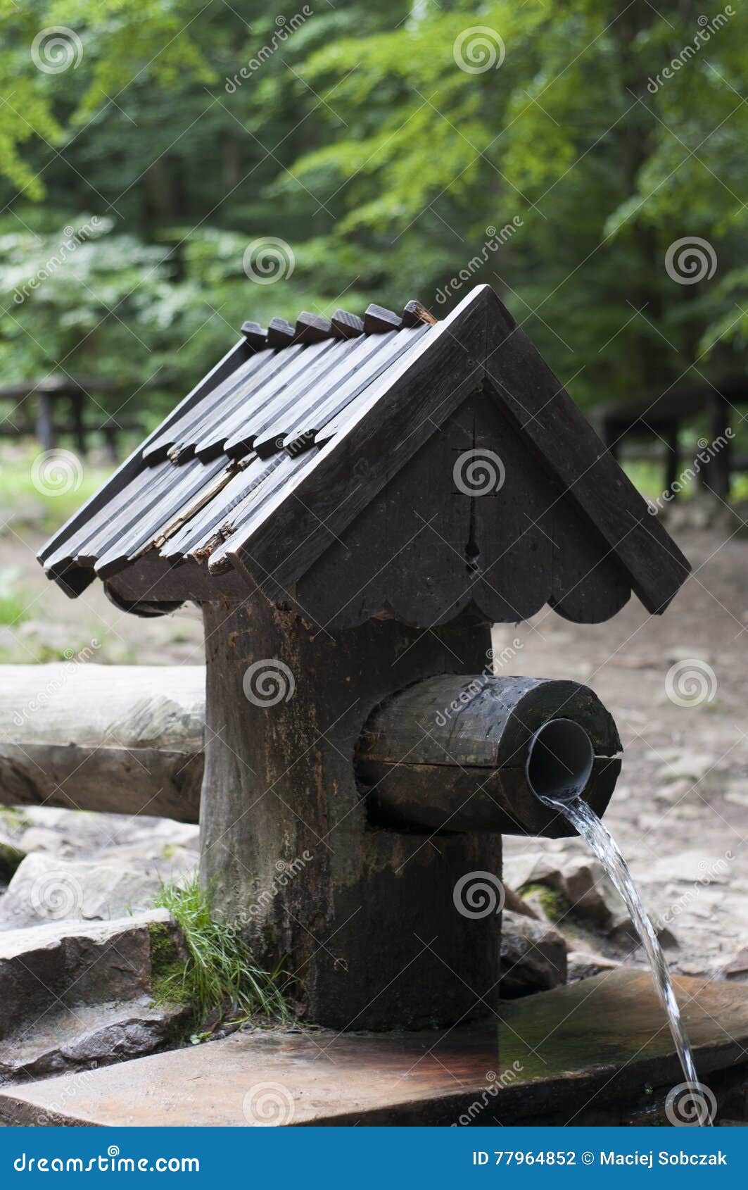 Mineral Water Spring in Forest Stock Photo - Image of freshwater, clean ...