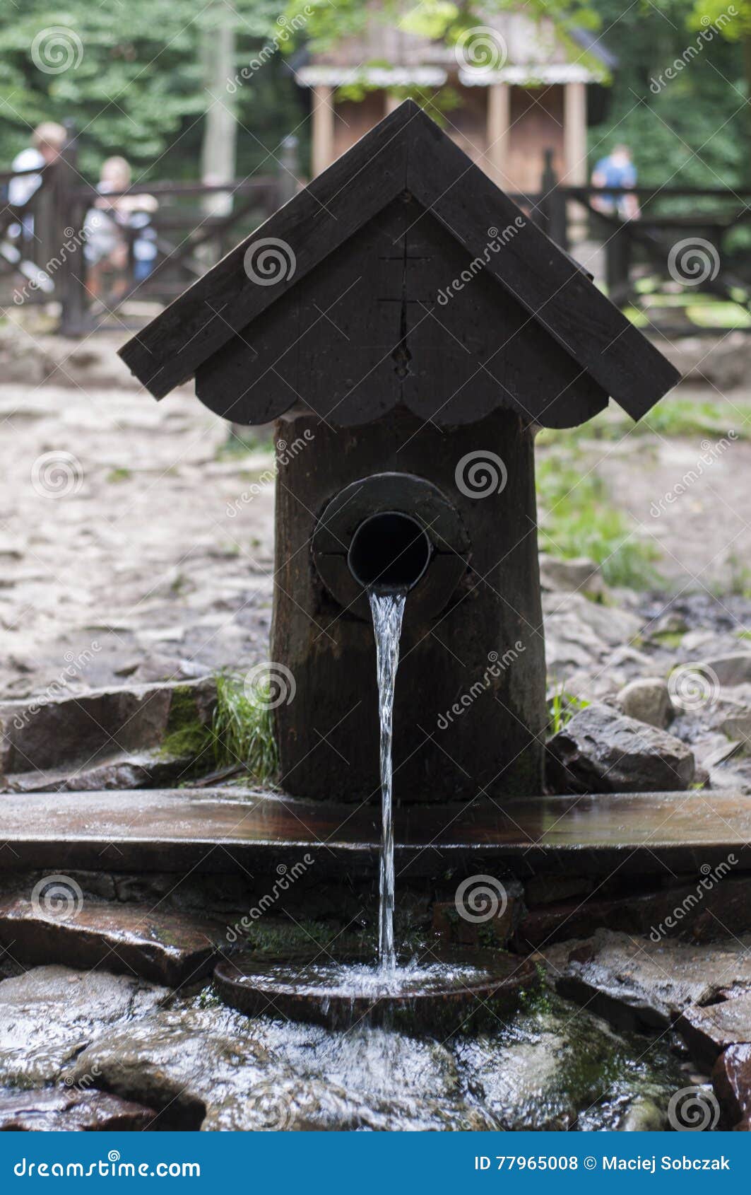 Mineral Water Spring in Forest Stock Photo - Image of waterfall ...