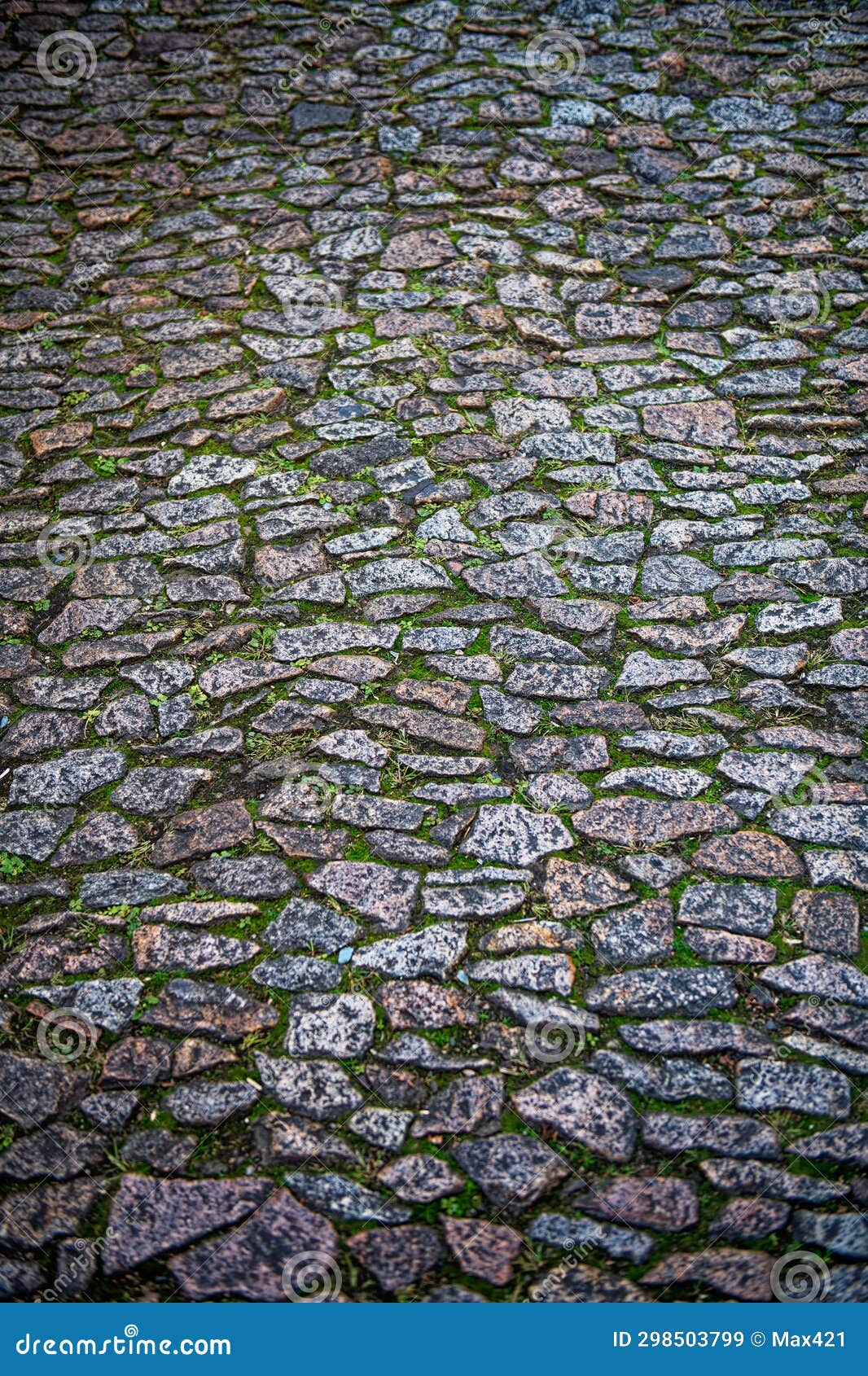 Ming Dynasty Street Paving, China Stock Image - Image of ming, branch ...