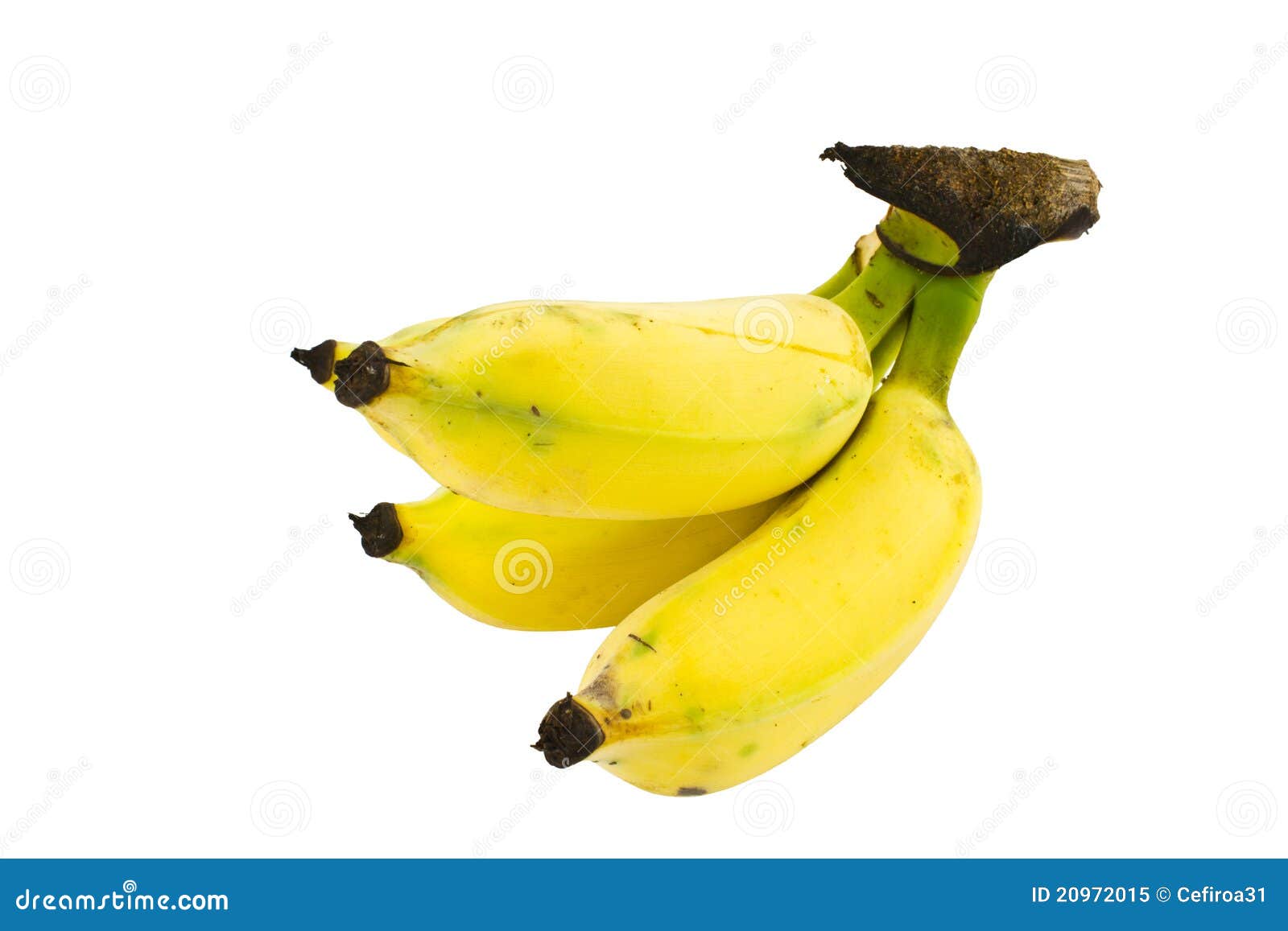 Mini bananas stock image. Image of natural, tasty, fruit - 20972015