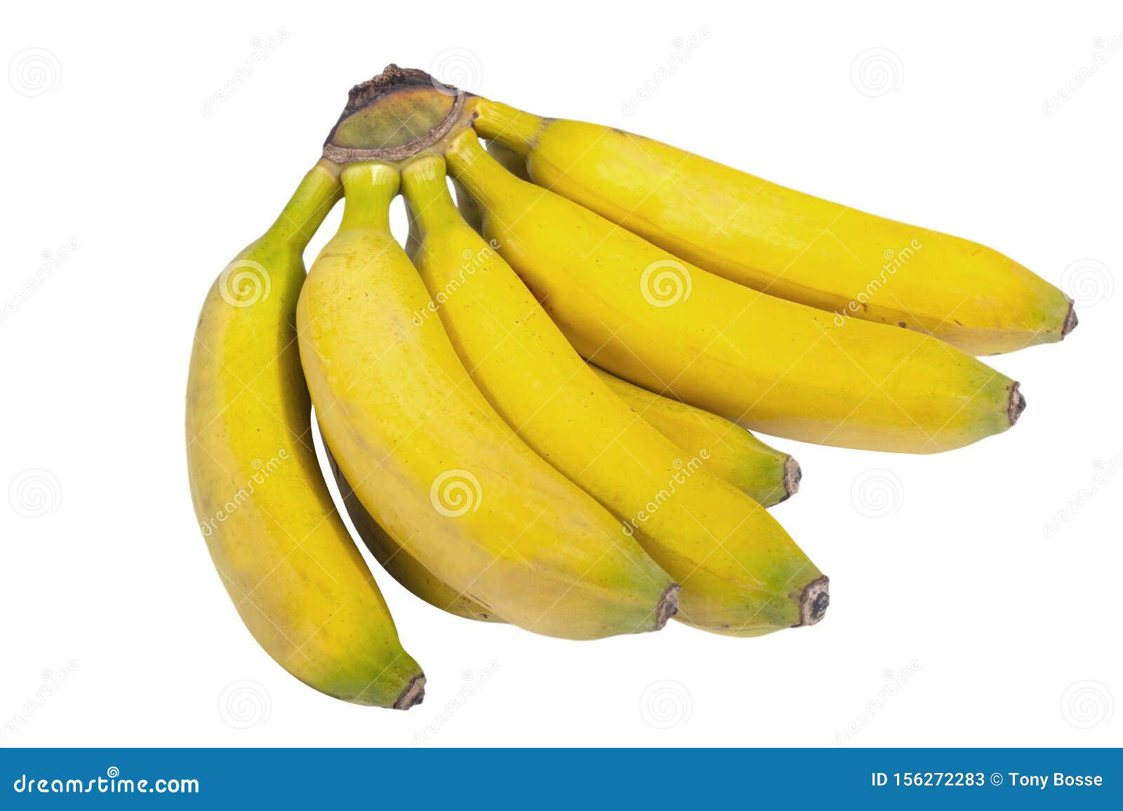 Mini Bananas Stock Images - Download 412 Royalty Free Photos