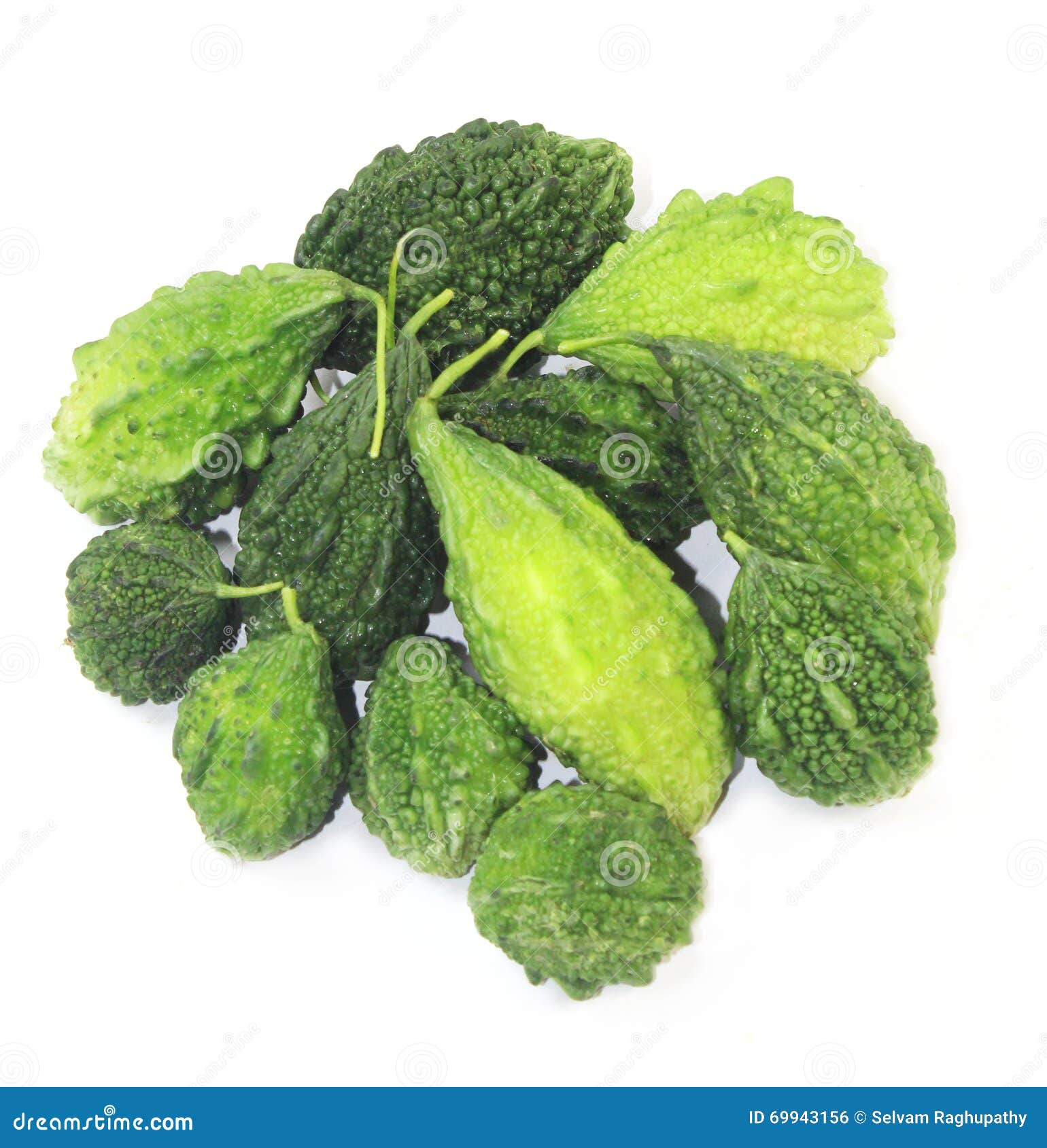 Mini Bitter Gourd Stock Photos - Free & Royalty-Free Stock Photos from ...