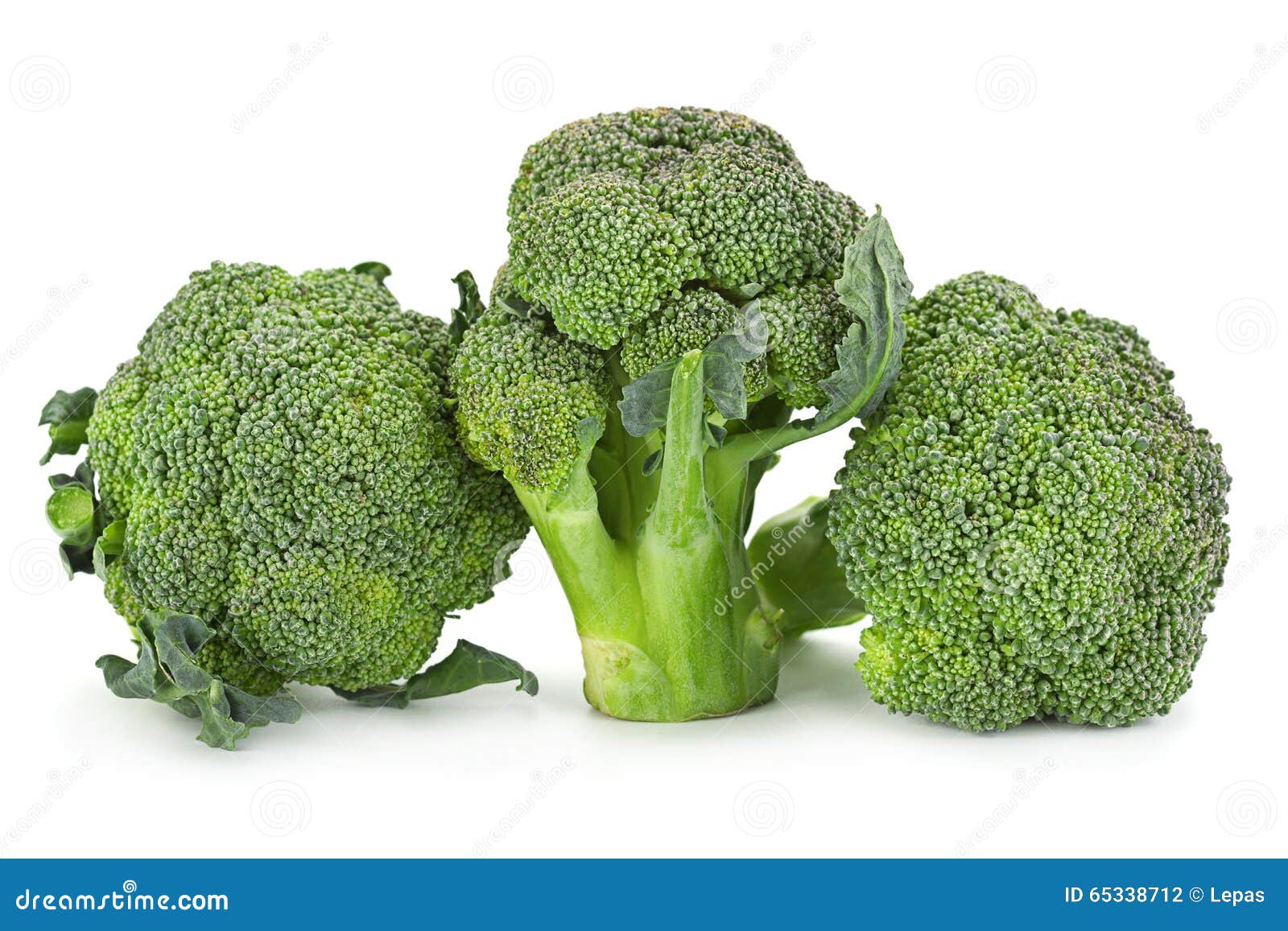 Mini broccoli cabbage stock photo. Image of white, green - 65338712