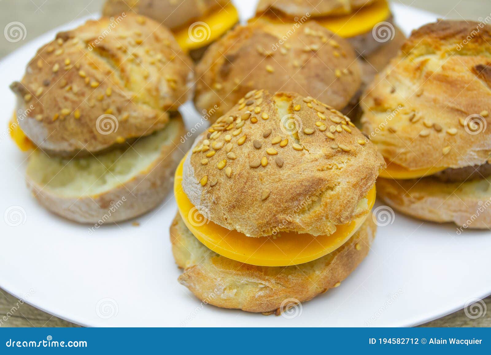 Mini burger plate stock photo. Image of small, steak - 194582712