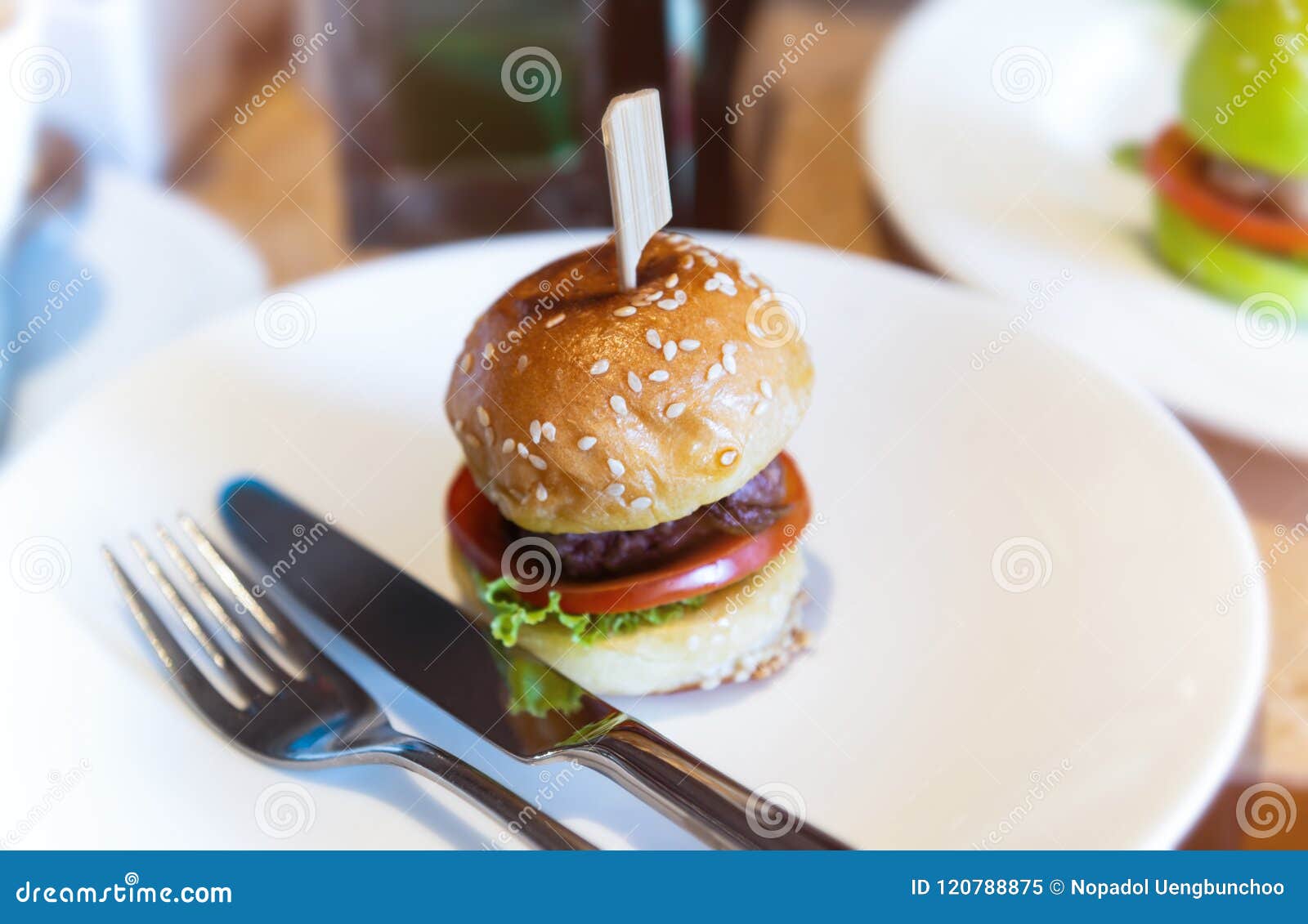 Mini Burger Set in White Plate. Stock Image - Image of plate, american ...