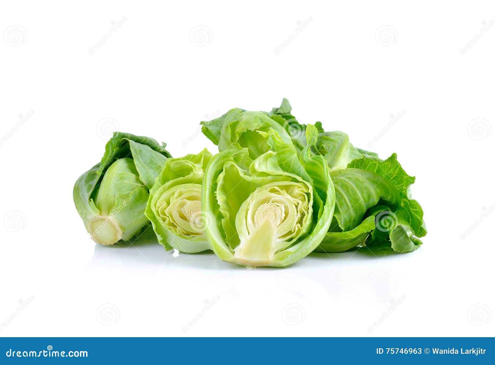 Mini Cabbage on White Background Stock Image - Image of sprouts, sprout ...