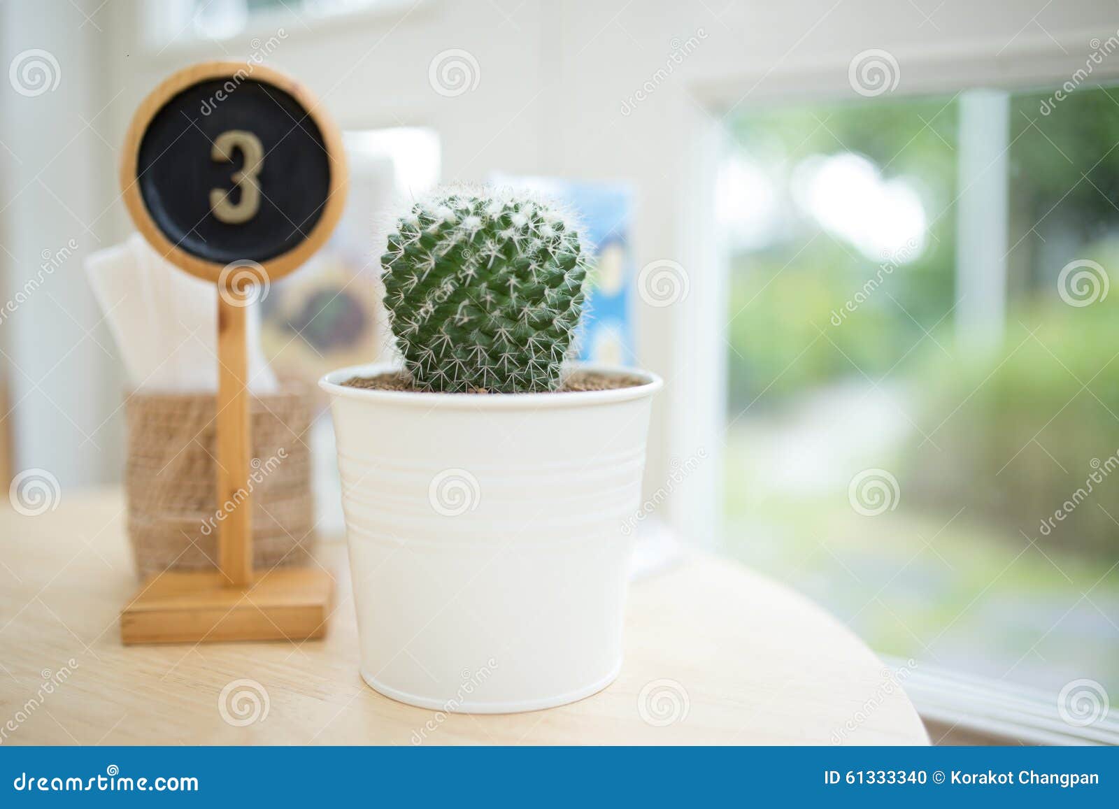 Mini Cactus on table stock photo. Image of pitcher, decoration - 61333340