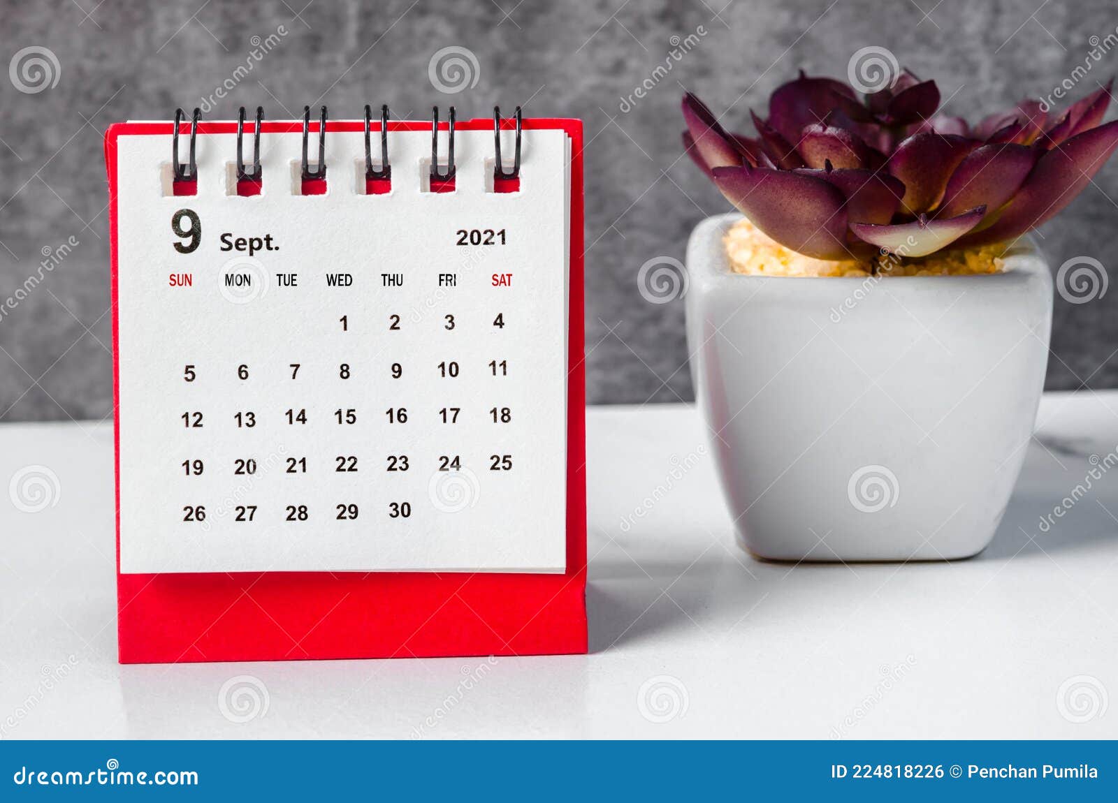 Mini Calendar September 2021 Stock Photo - Image of 2021, page: 224818226