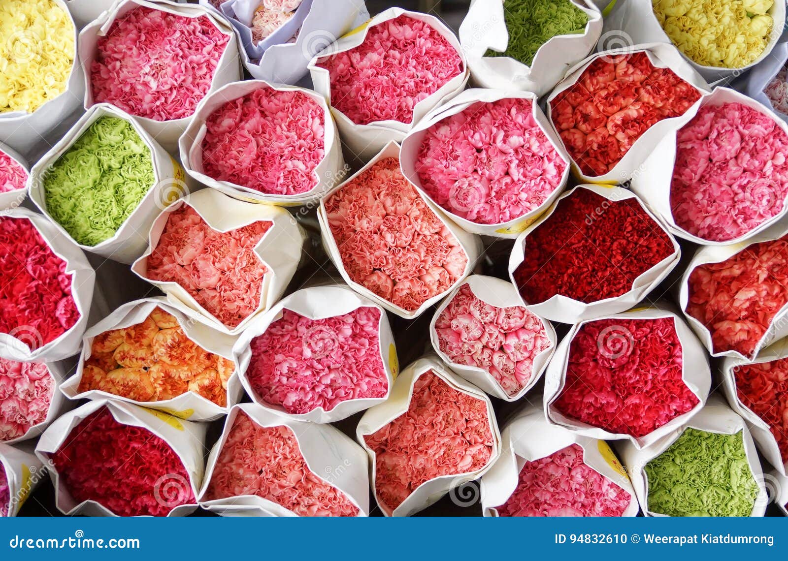 Mini carnation flowers stock photo. Image of breath, canation - 94832610