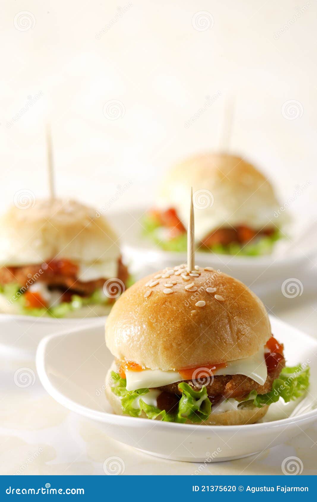 MINI CHICKEN BURGER stock photo. Image of health, fresh - 21375620